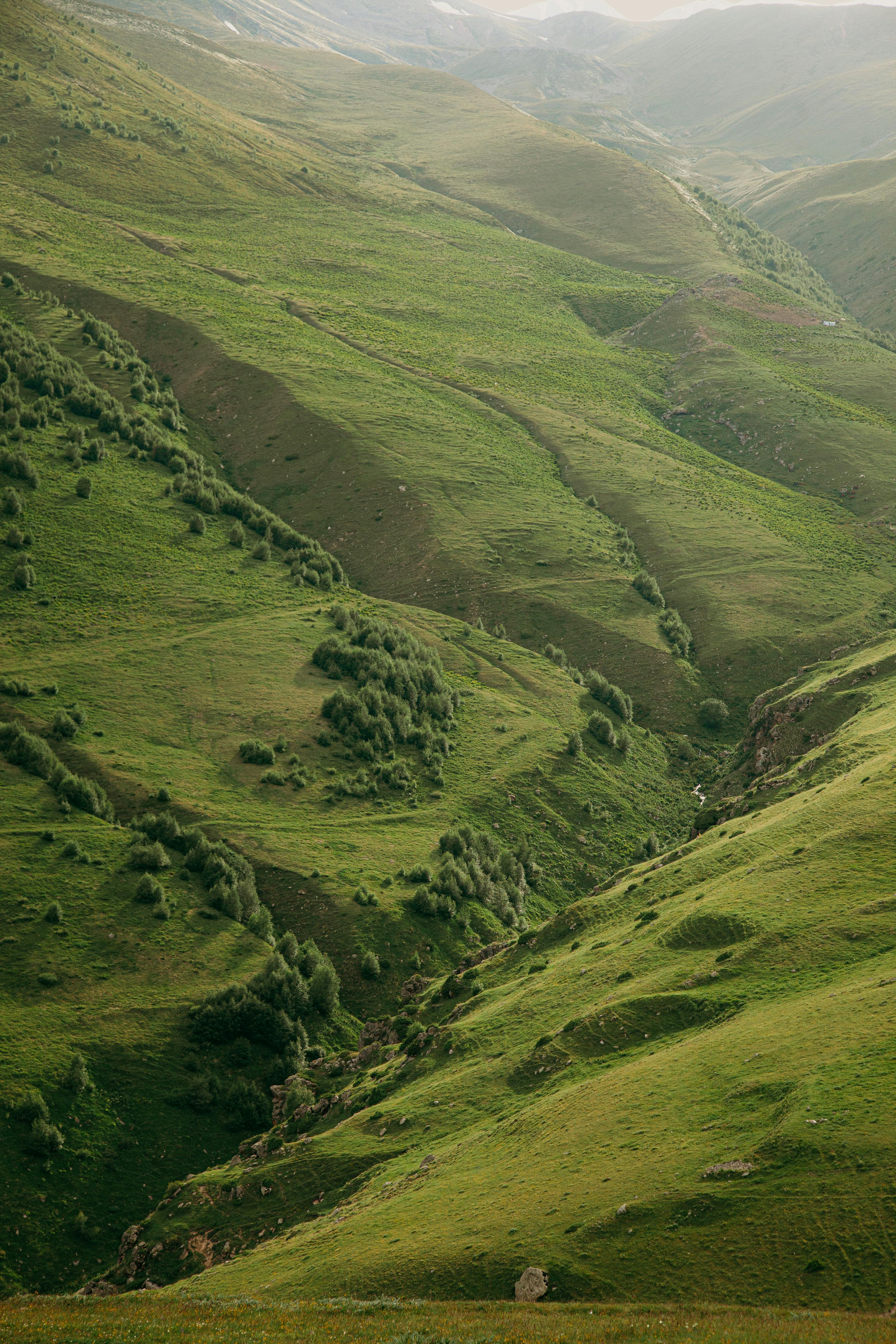 Aerial View of Lush Green Valley · Free Stock Photo