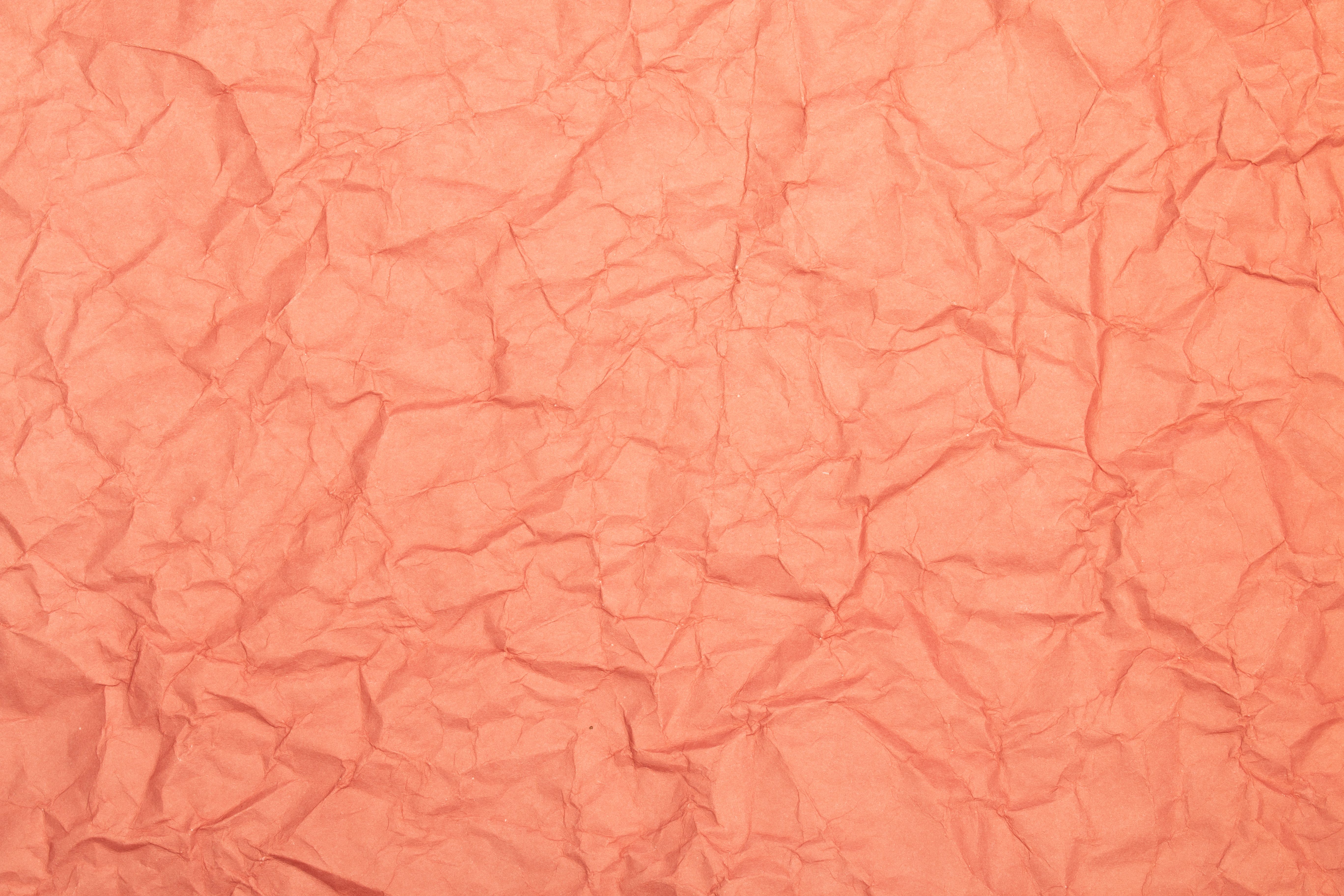 Photo of a Wrinkled Paper · Free Stock Photo