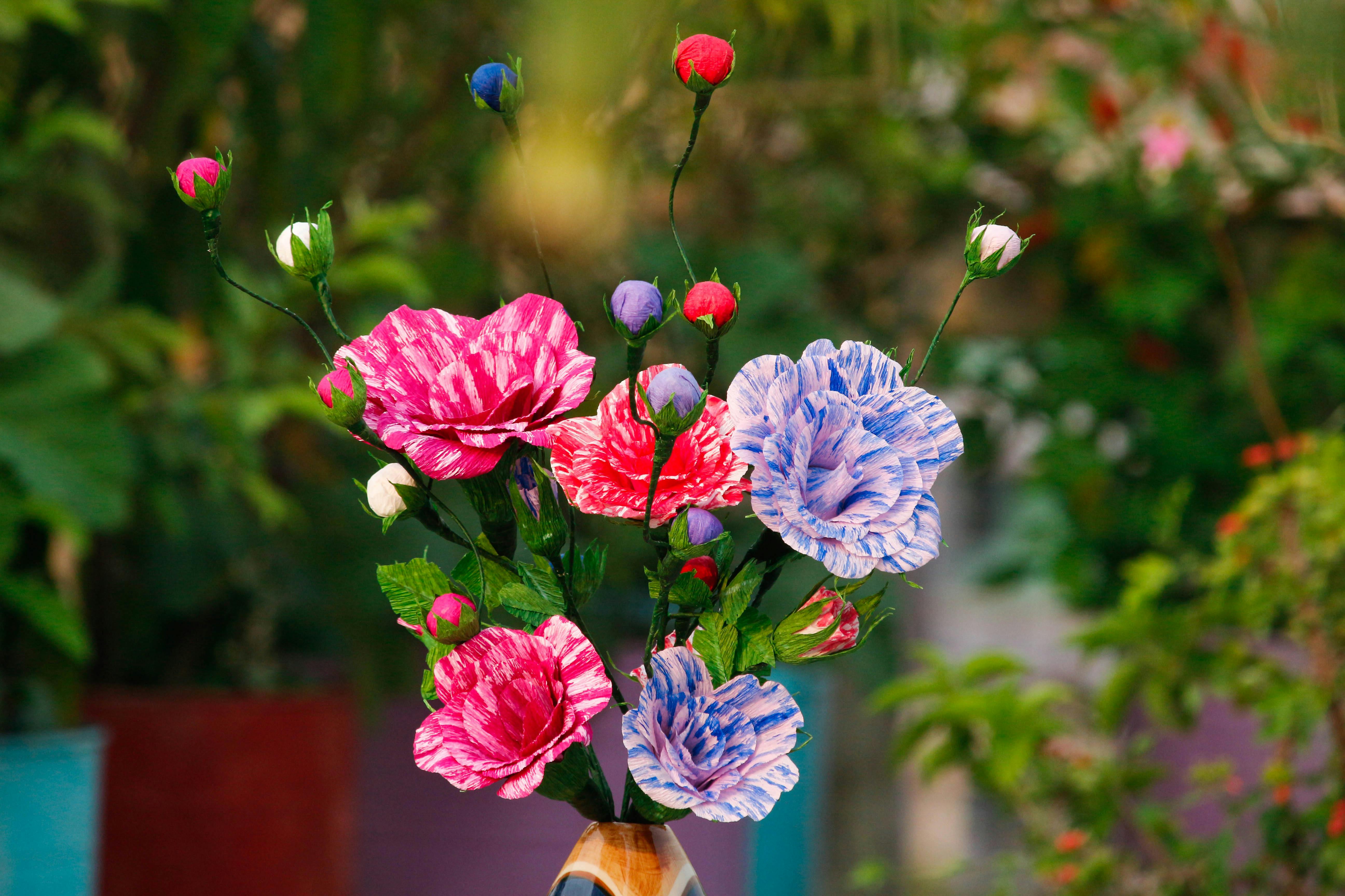 Red And Blue Flowers Photos, Download The BEST Free Red And Blue ...