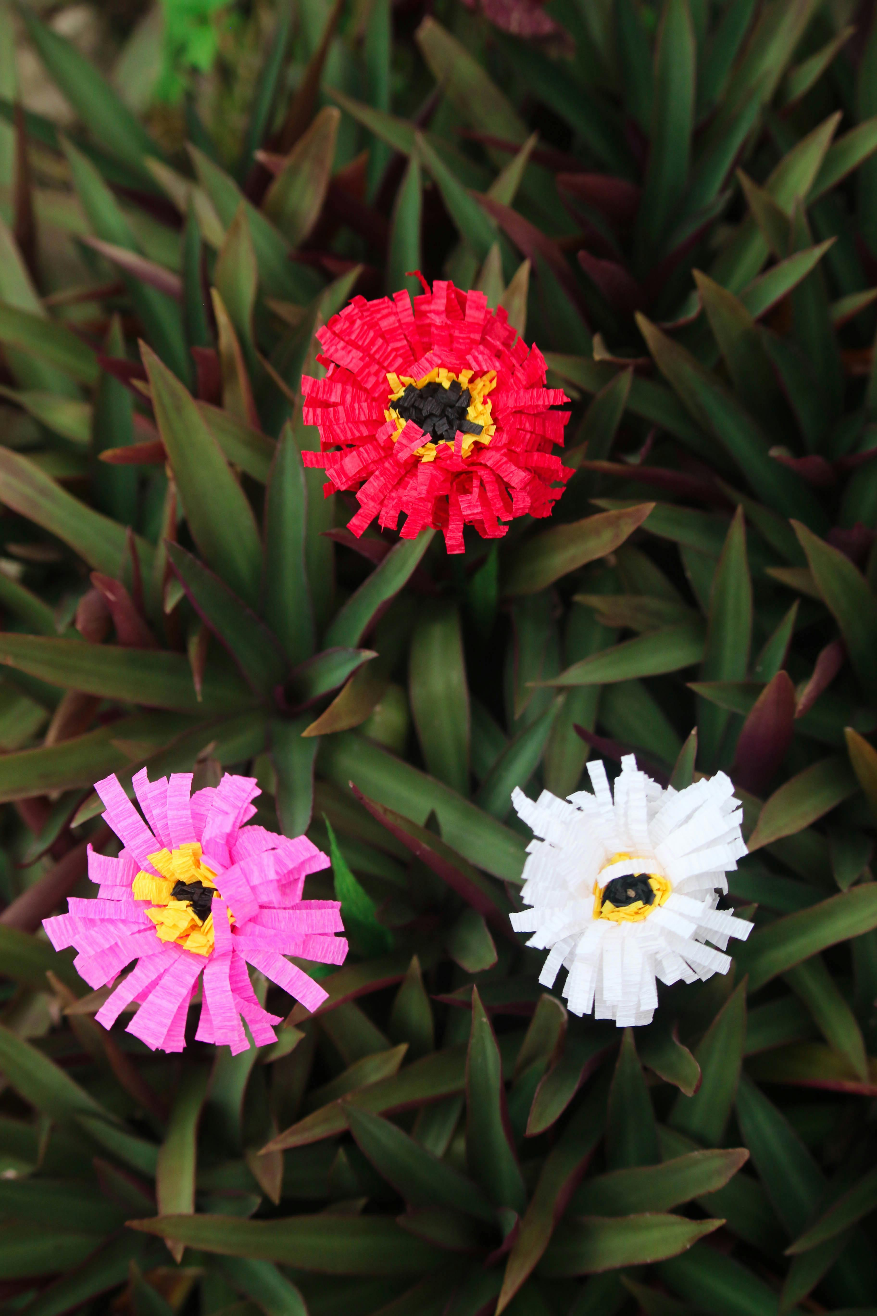 A Handmade Paper Flowers on a Vase · Free Stock Photo