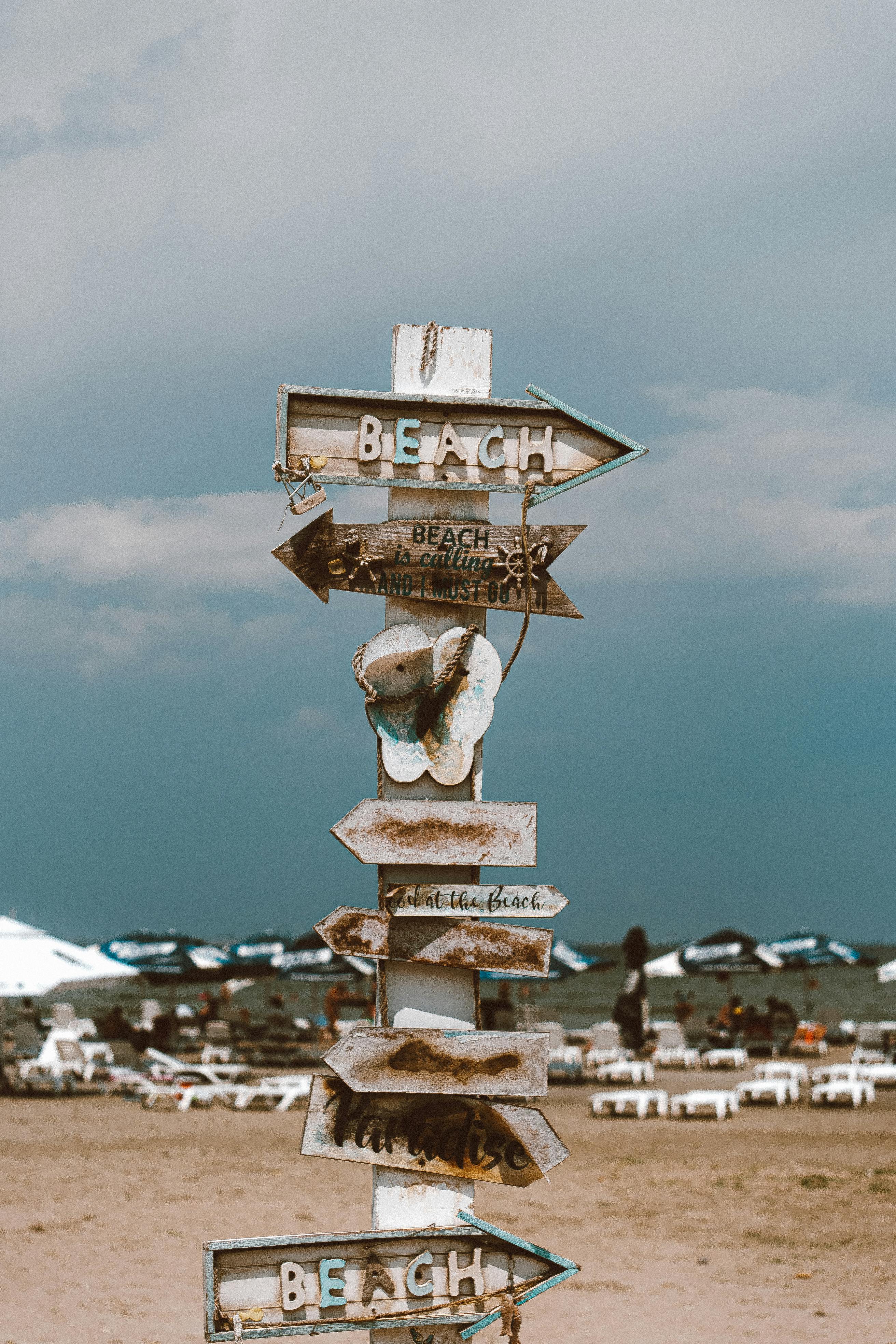 Pointers Photos, Download The BEST Free Pointers Stock Photos & HD Images