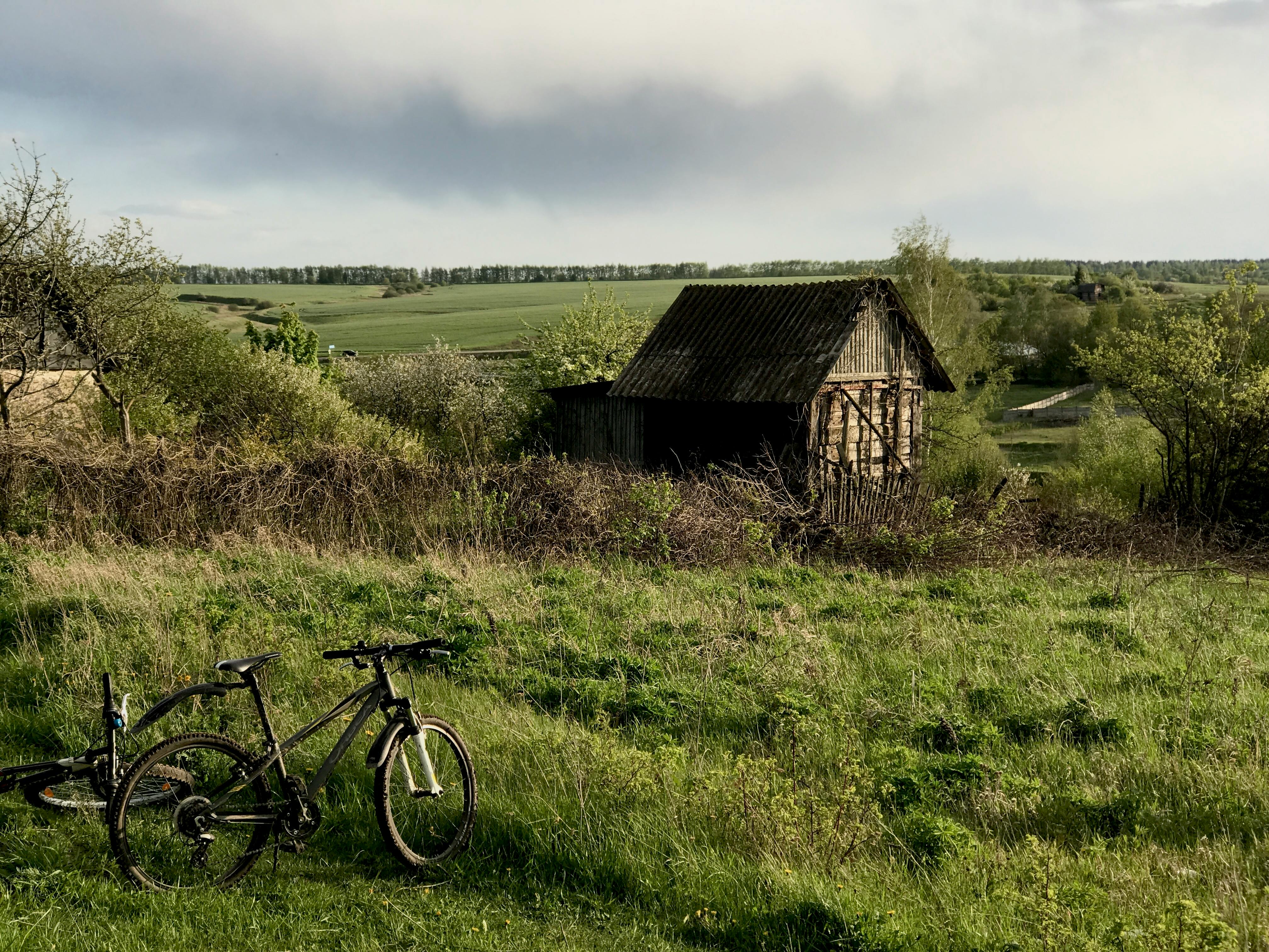 Wooden Shed on Green Grass Field · Free Stock Photo