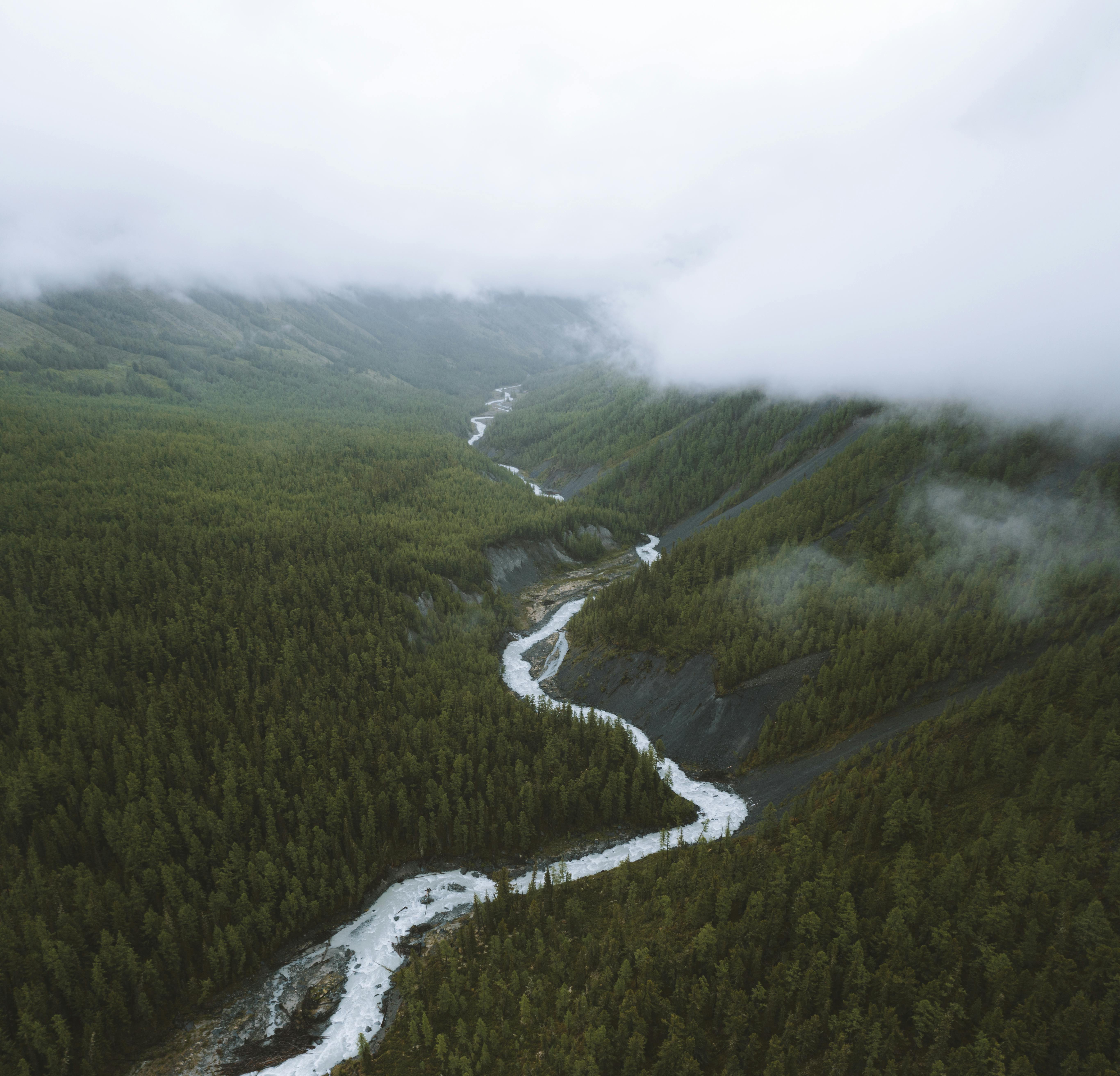 A Valley Between Mountains with Green Trees · Free Stock Photo