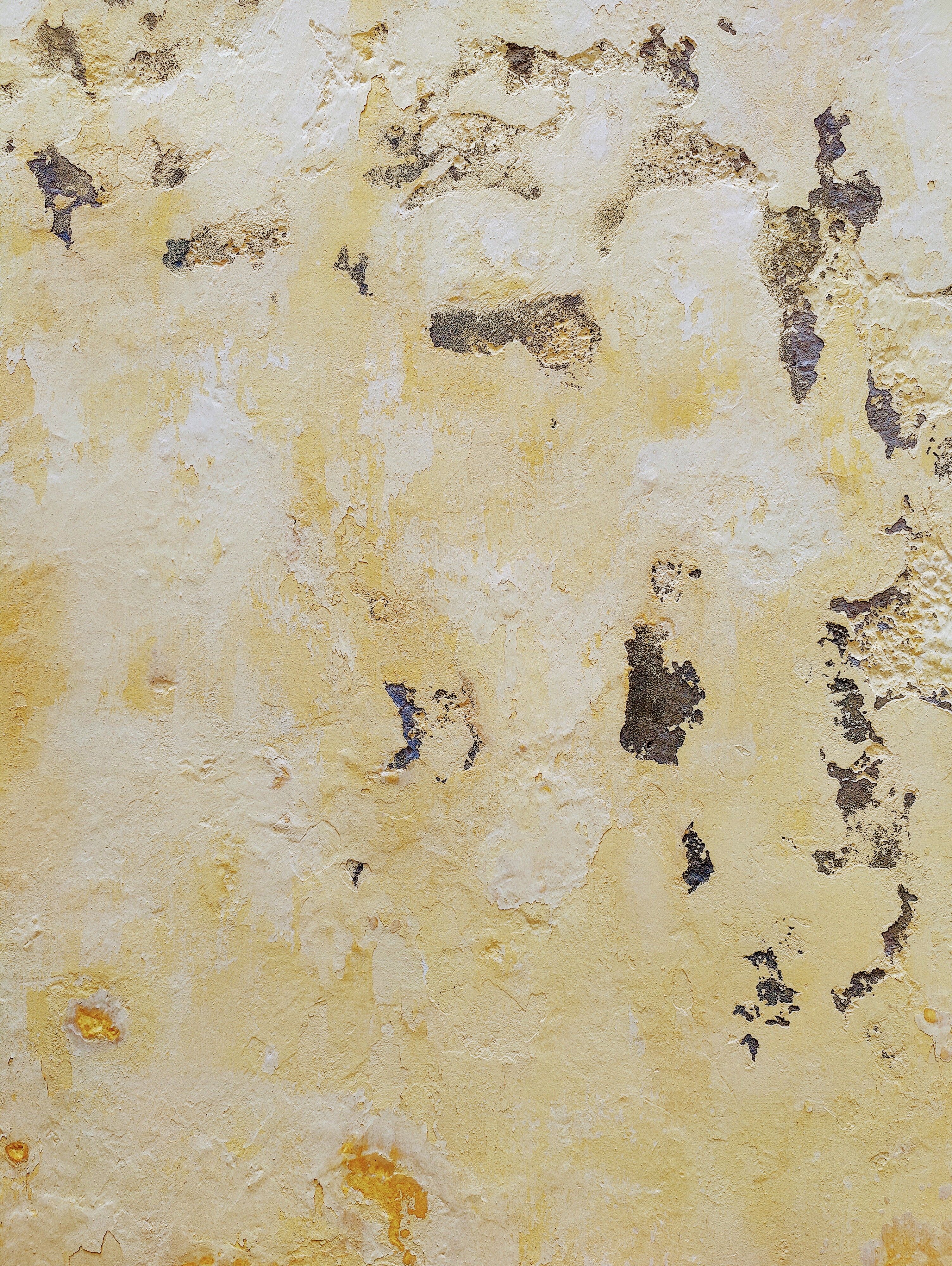 Close-Up Shot of a Concrete Wall · Free Stock Photo