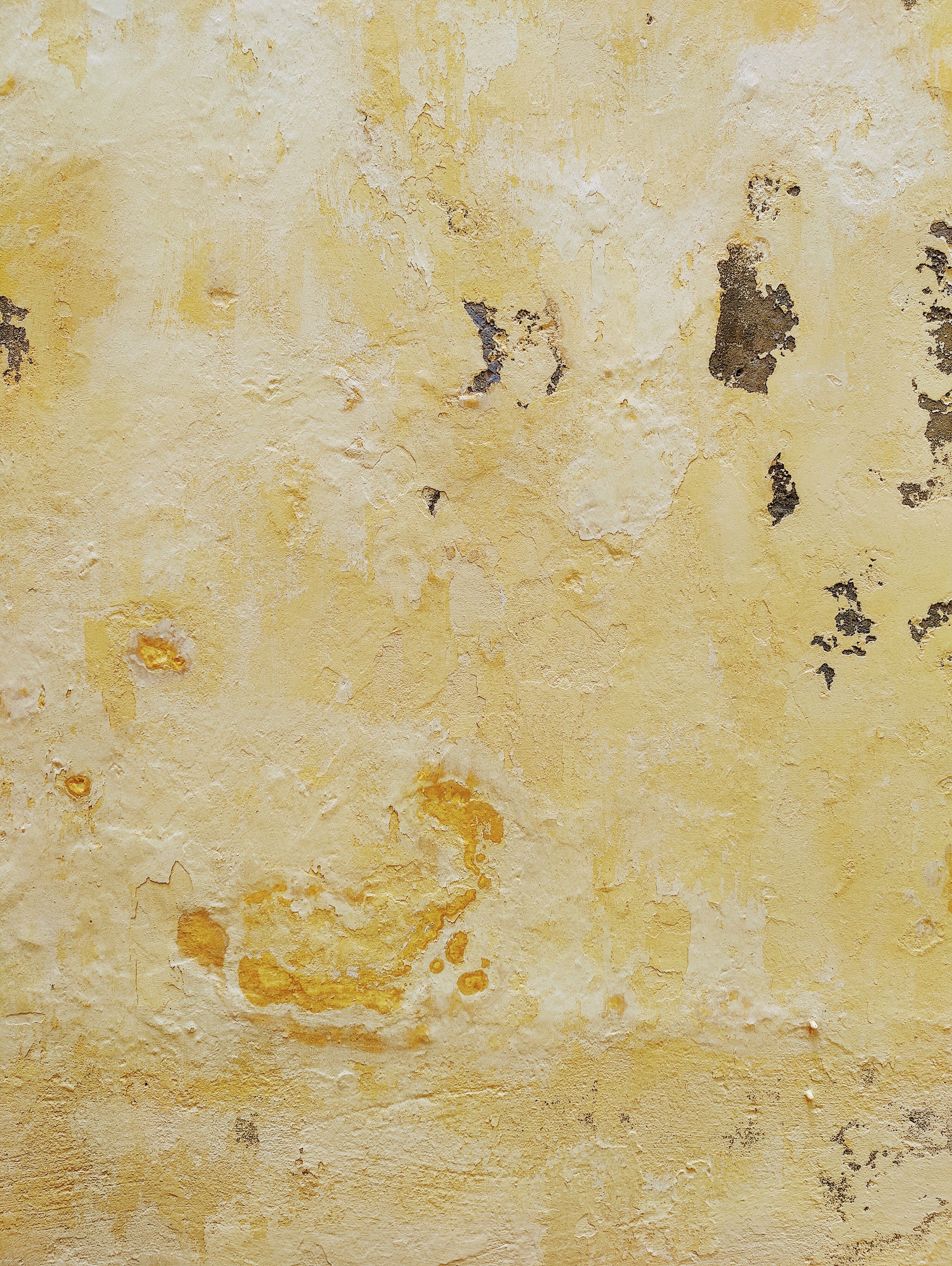 Photo of Mustard Yellow Wall · Free Stock Photo