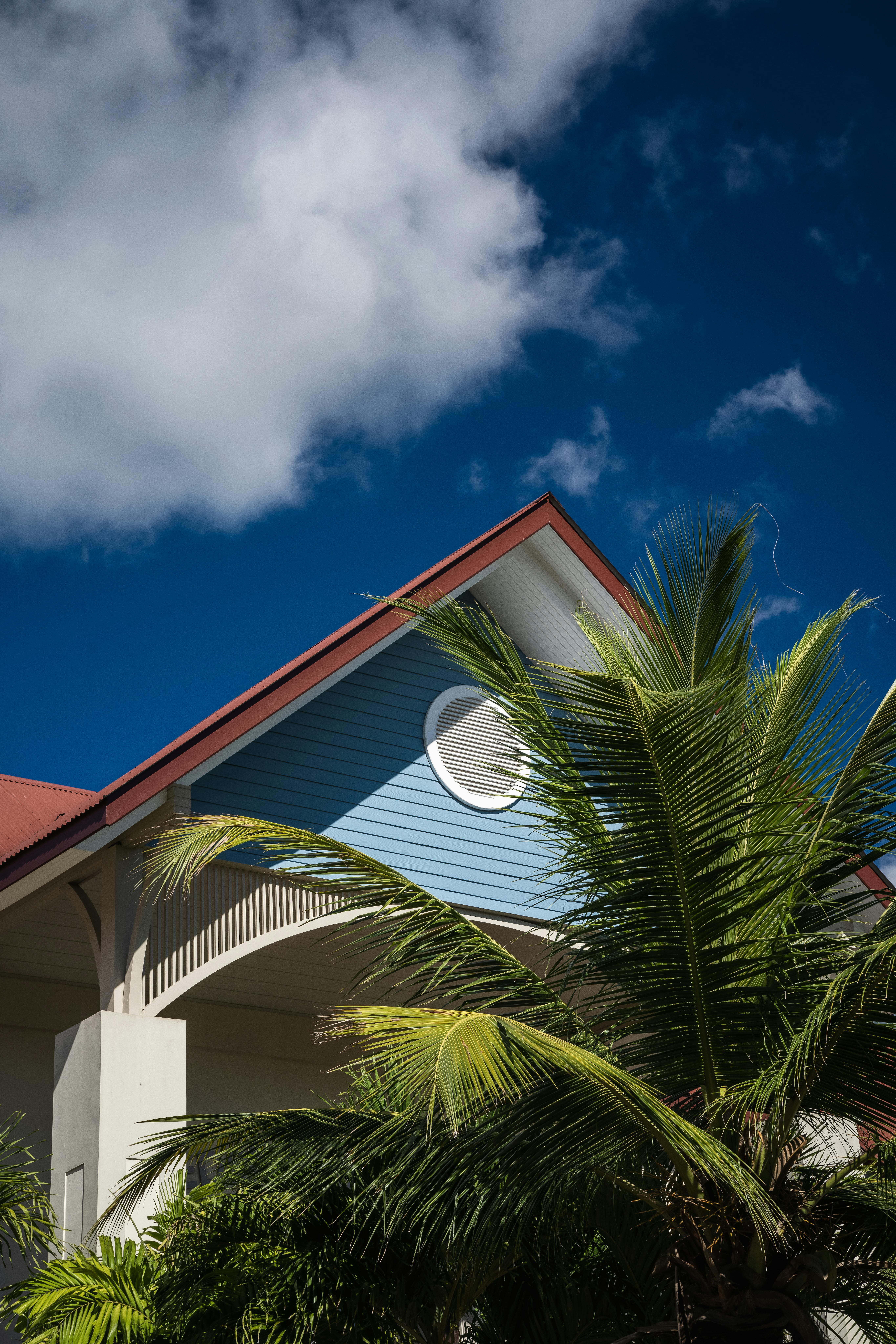Palm Tree in Front of a House · Free Stock Photo