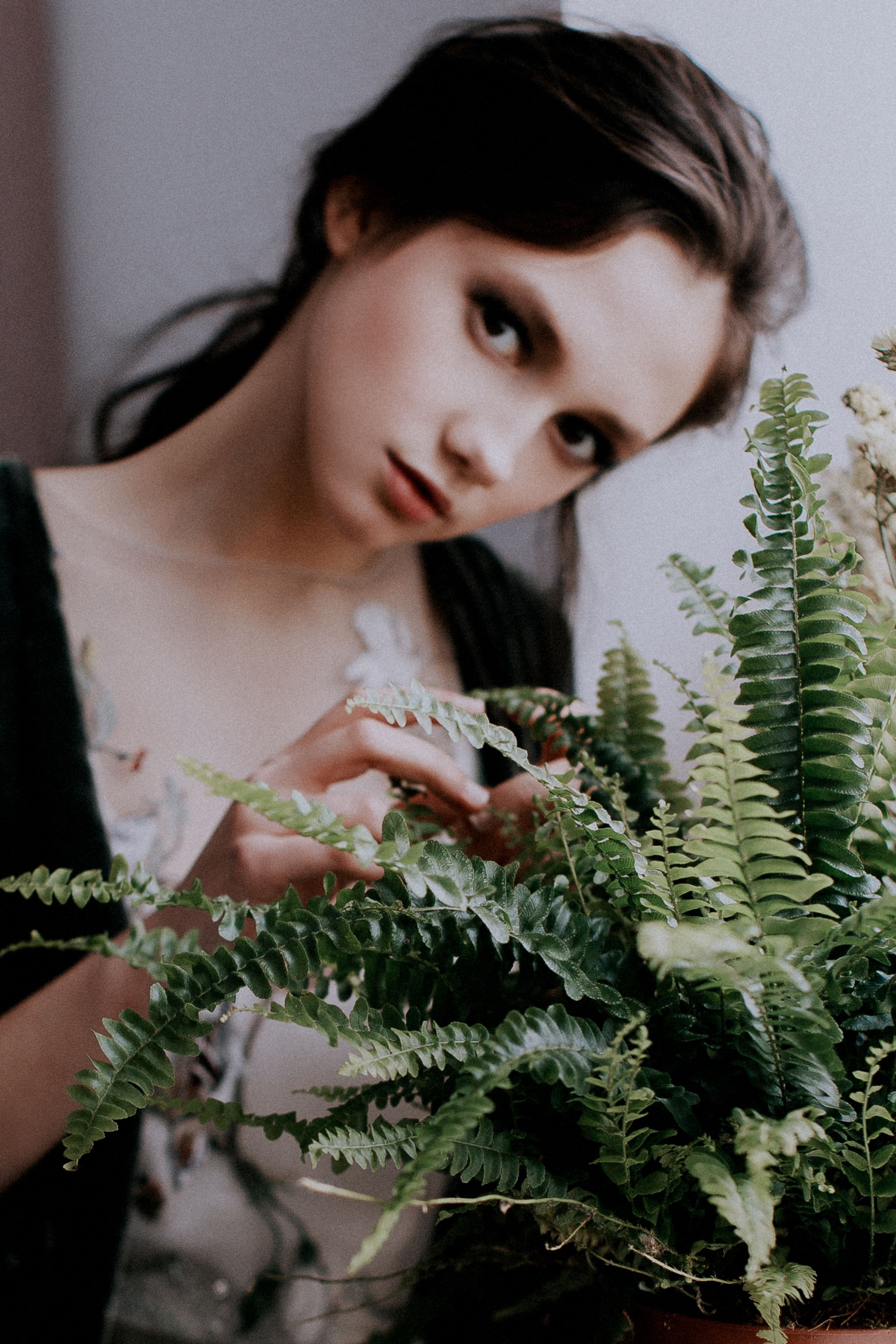 Person Holding Plants · Free Stock Photo
