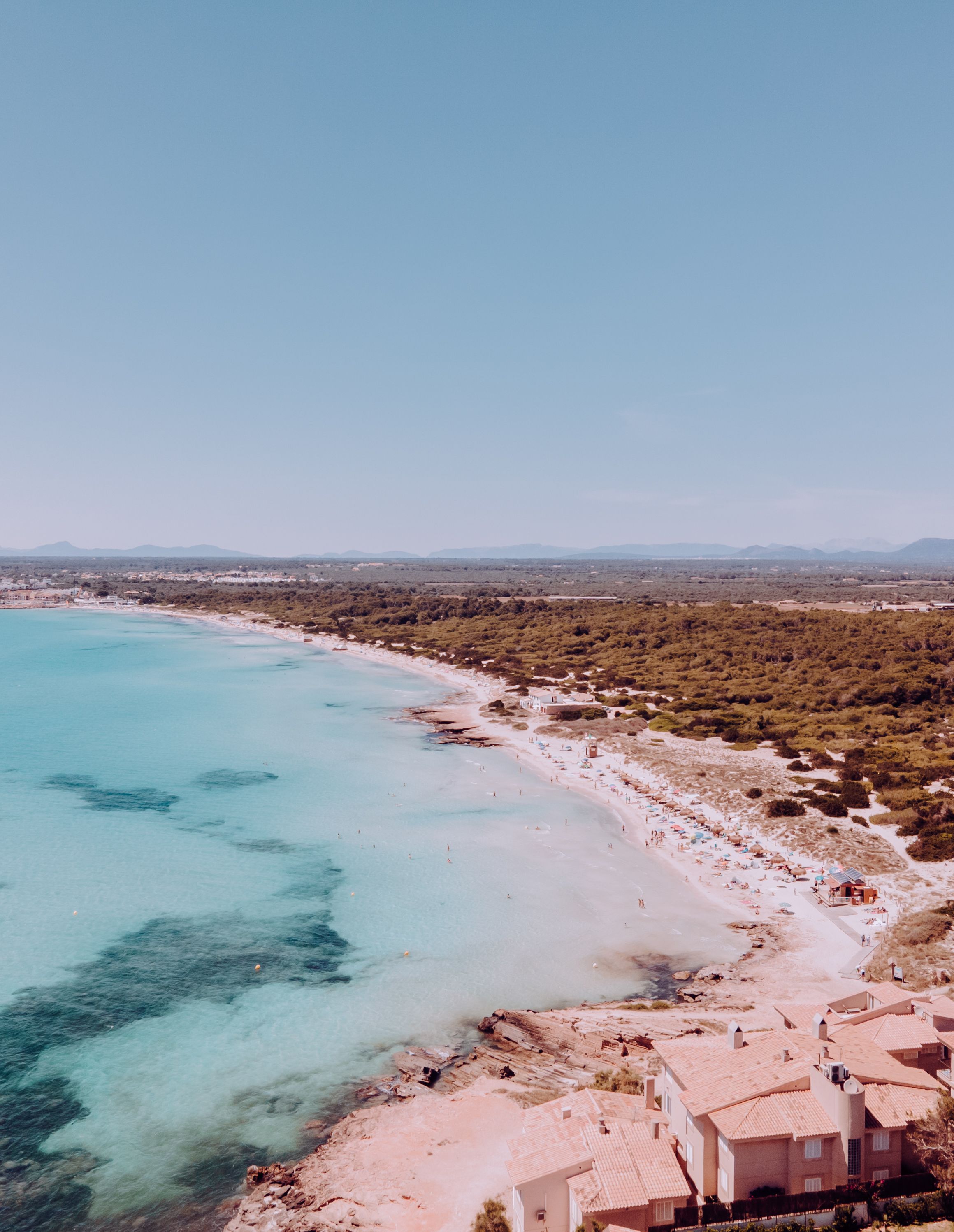 Aerial Photography of Green Trees on an Island · Free Stock Photo