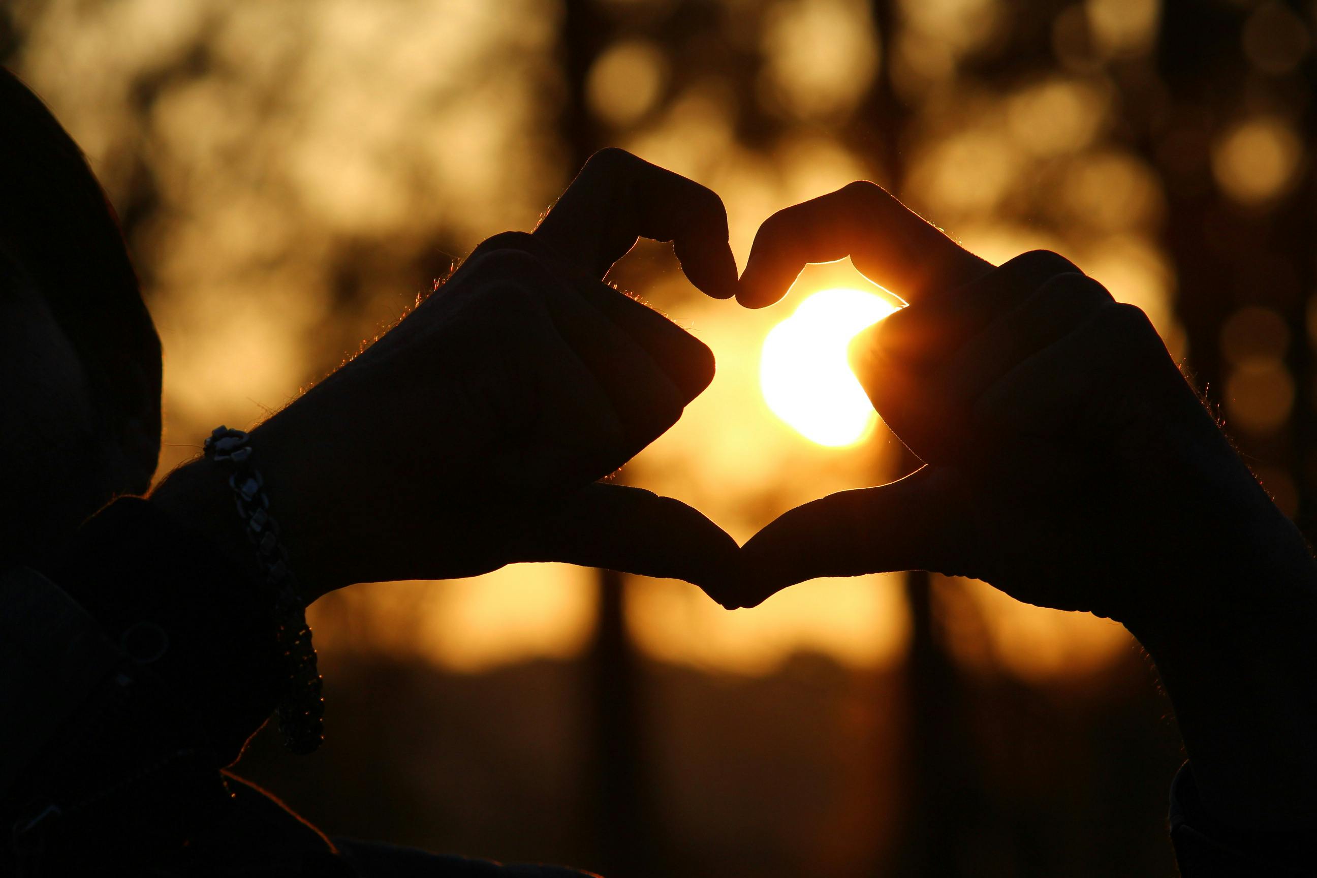 Free stock photo of evening sun, feeling, golden sun