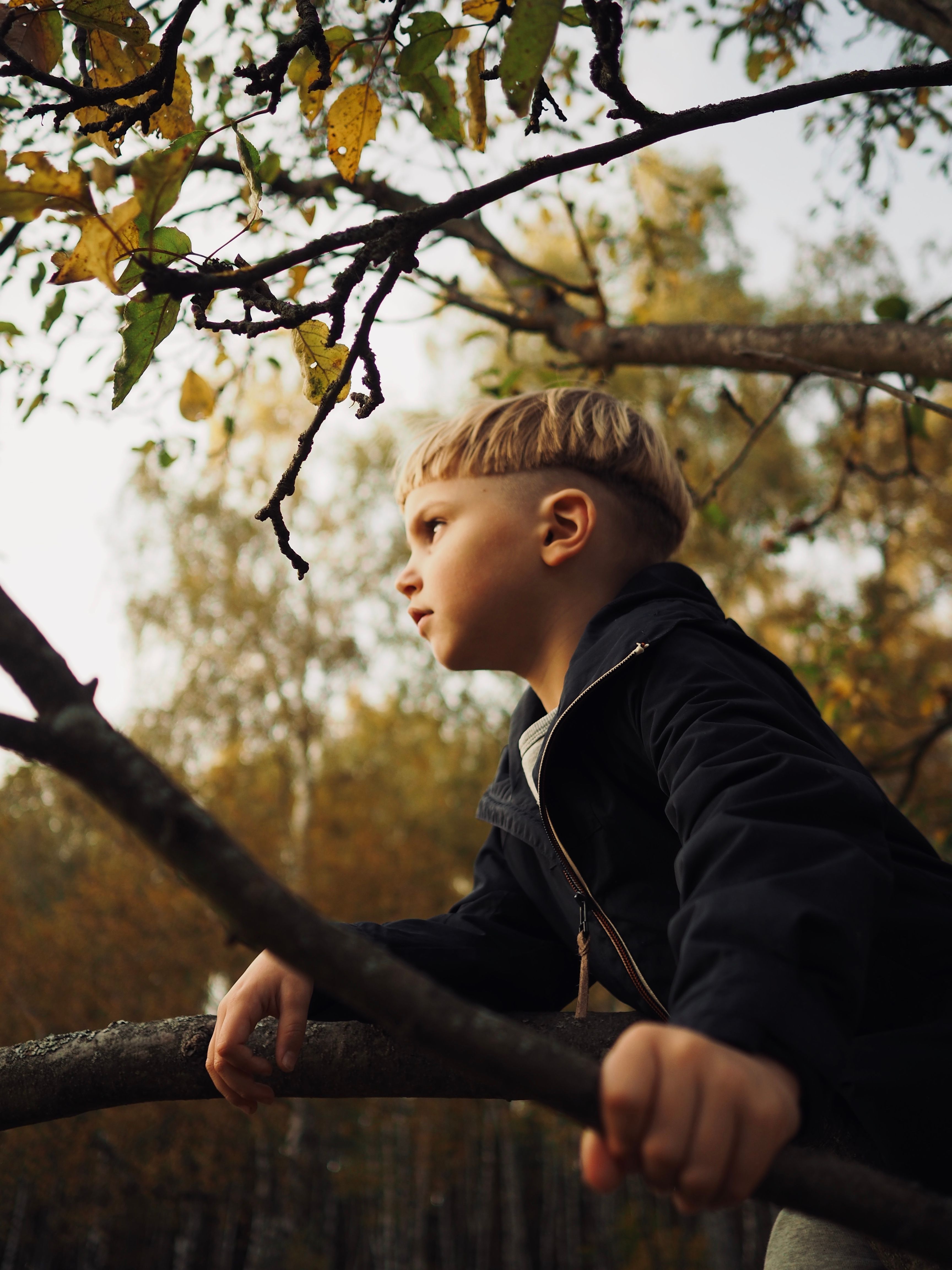 A Boy Wearing a Jacket Holding on a Tree Branch · Free Stock Photo