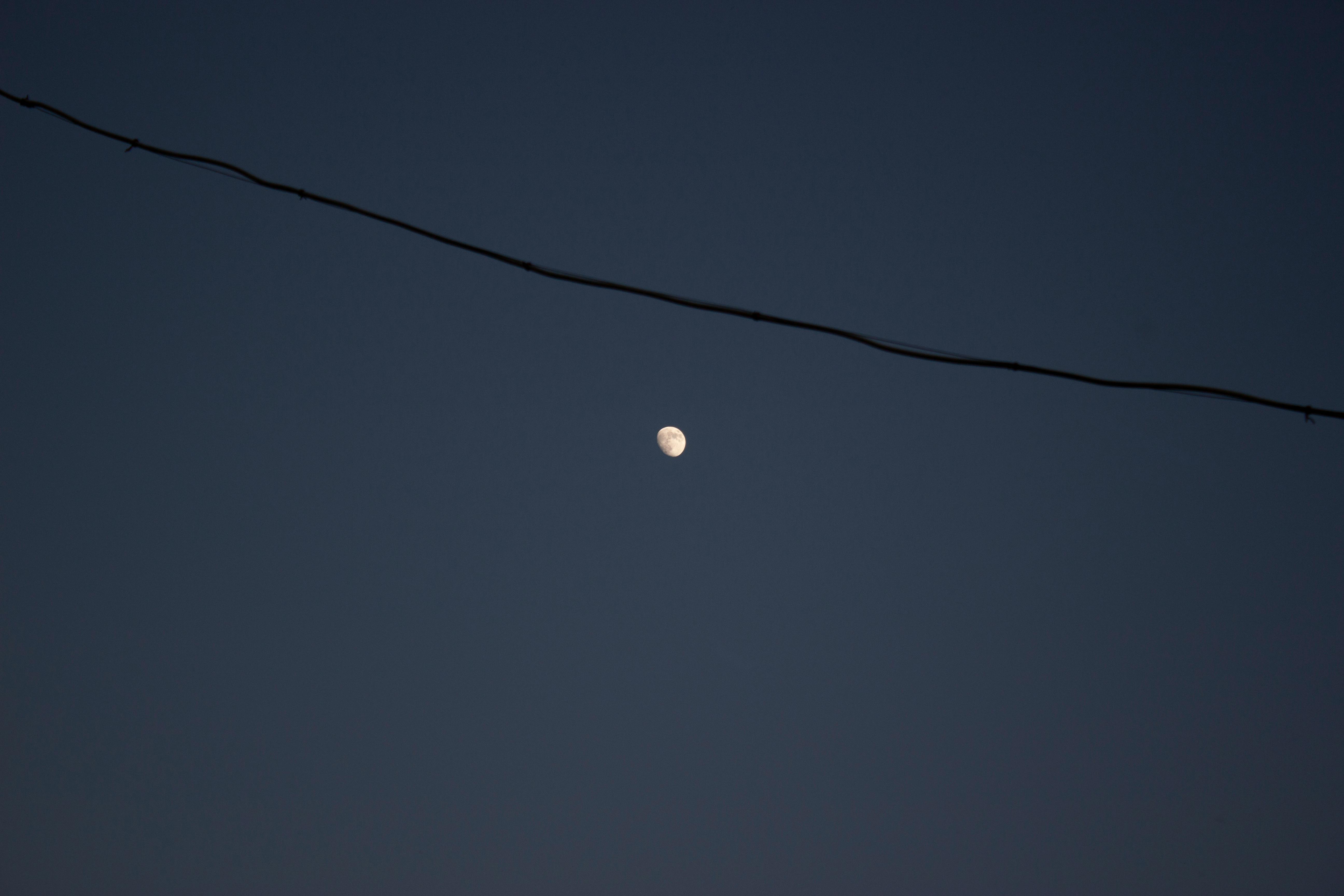 A Wire Under Night Sky with Moon · Free Stock Photo
