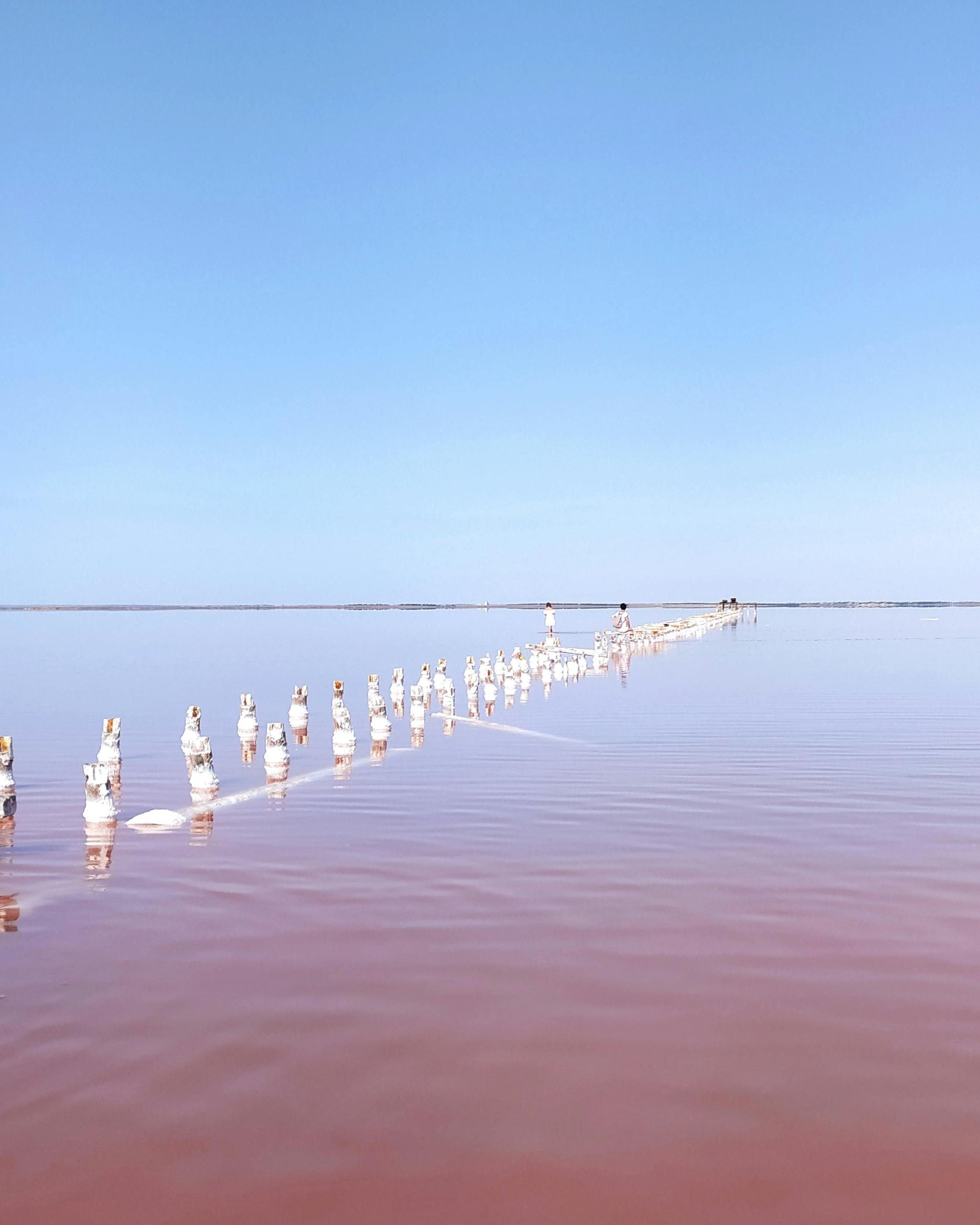 Landscape of a Salty Pink Lake · Free Stock Photo