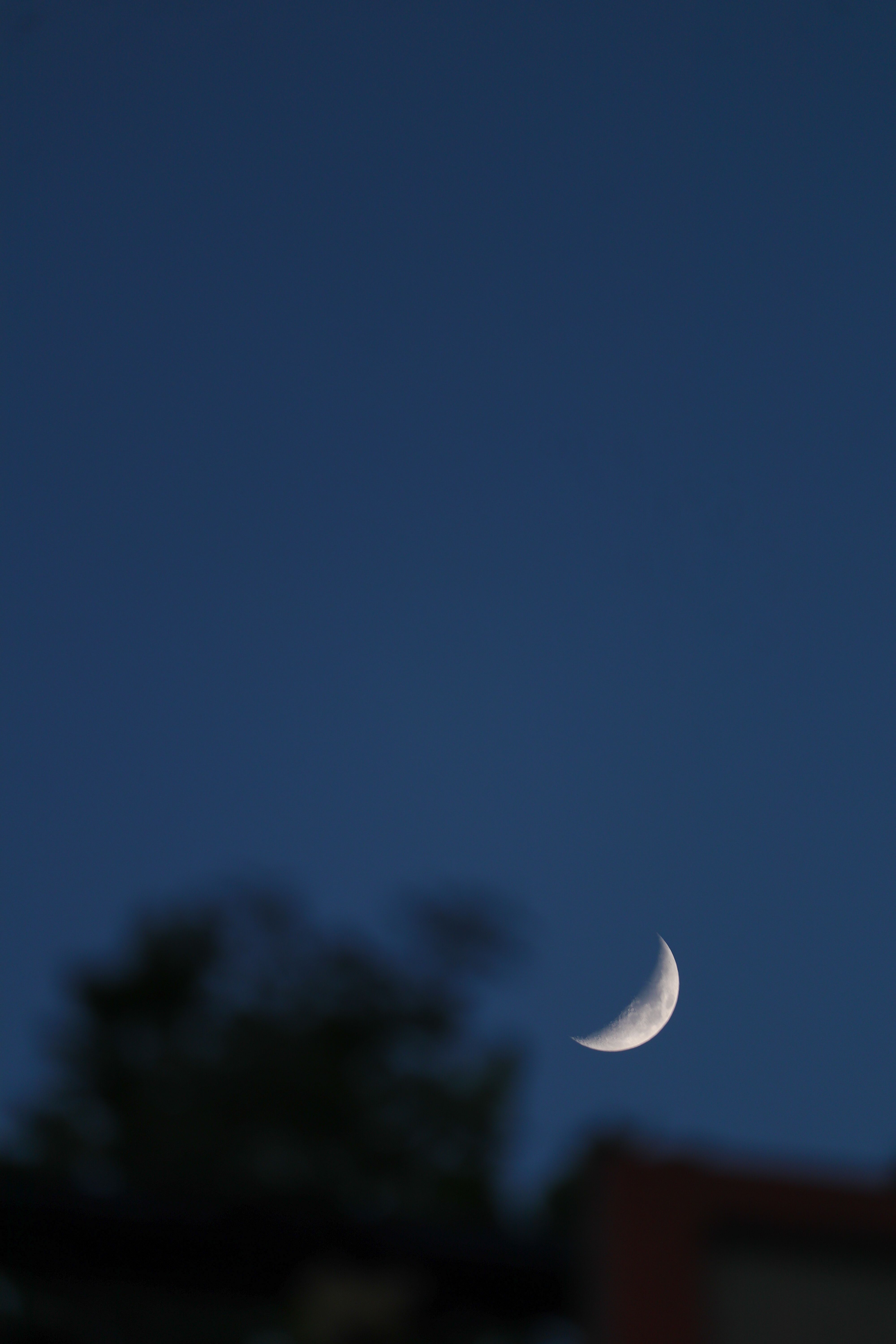 A Half-Moon during the Night · Free Stock Photo