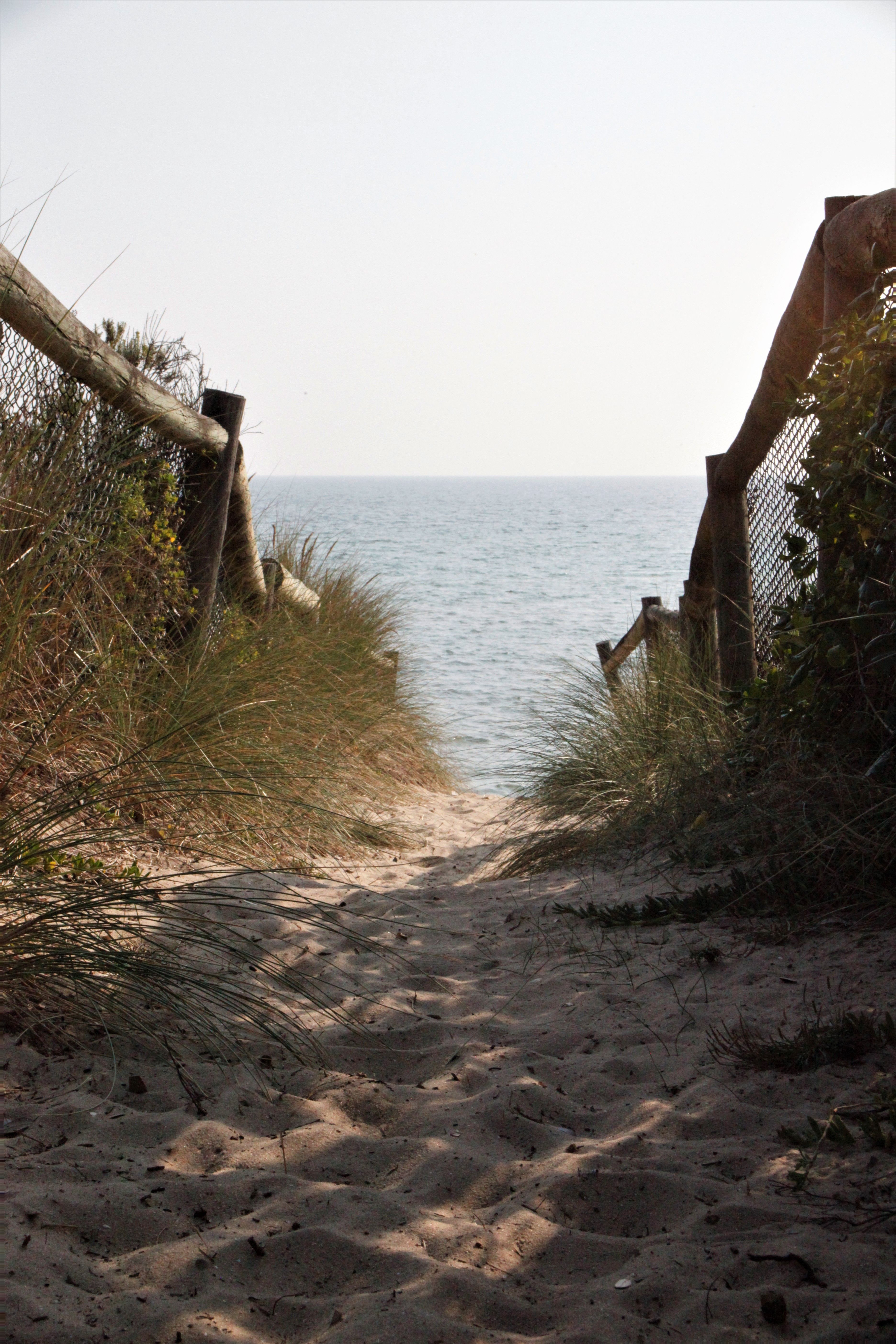 Fence in Between a Sand Path · Free Stock Photo