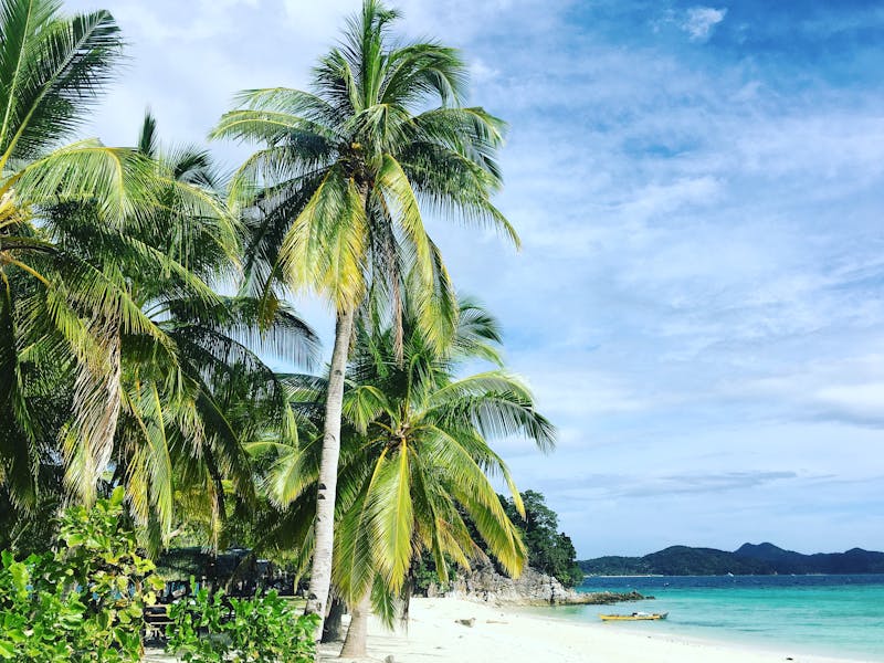 Palawan's Rich Culture and History: A Glimpse into the Past - RichestPH