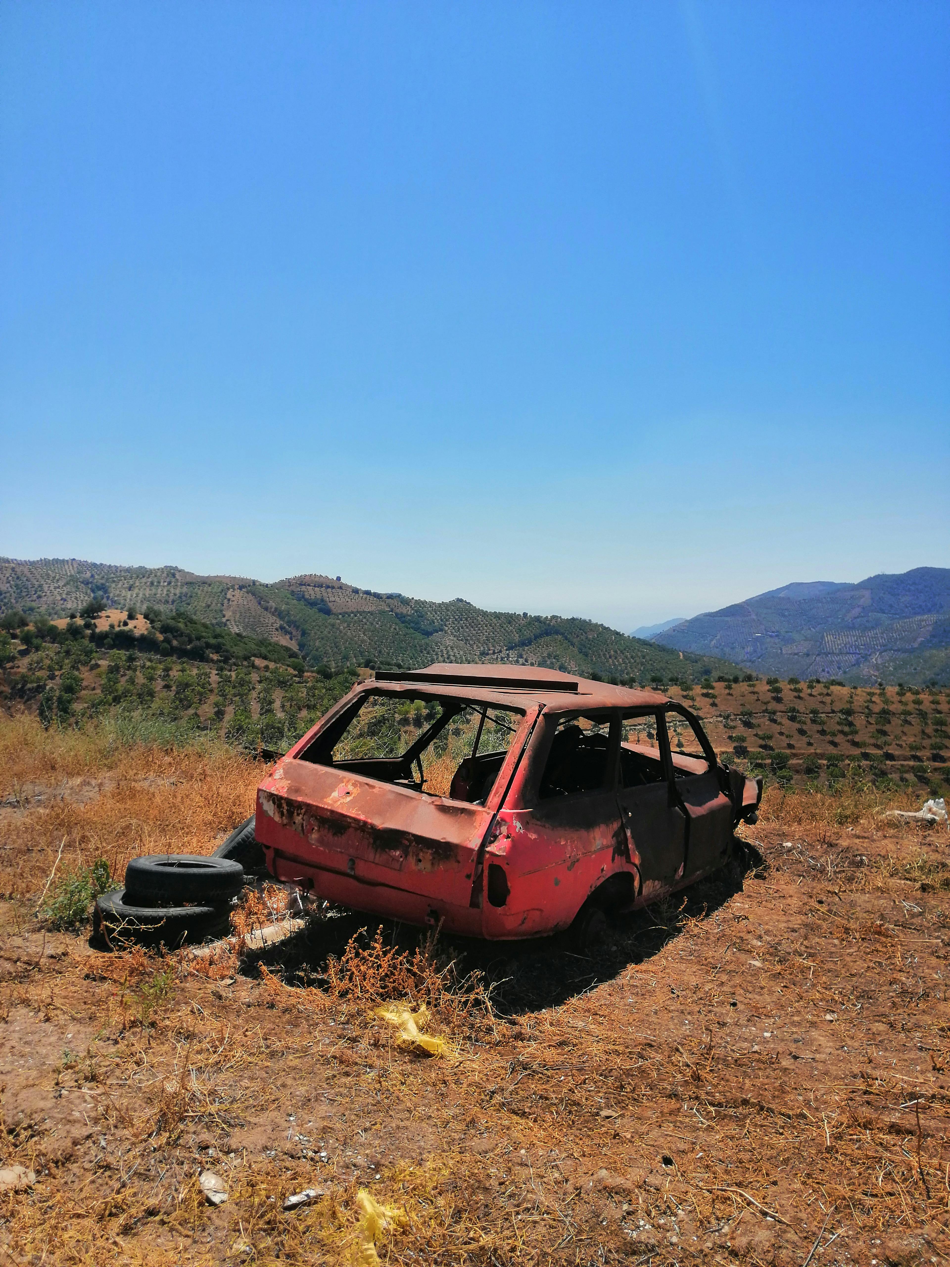 7,000+ Best Broken Lily Photos · 100% Free Download · Pexels Stock Photos