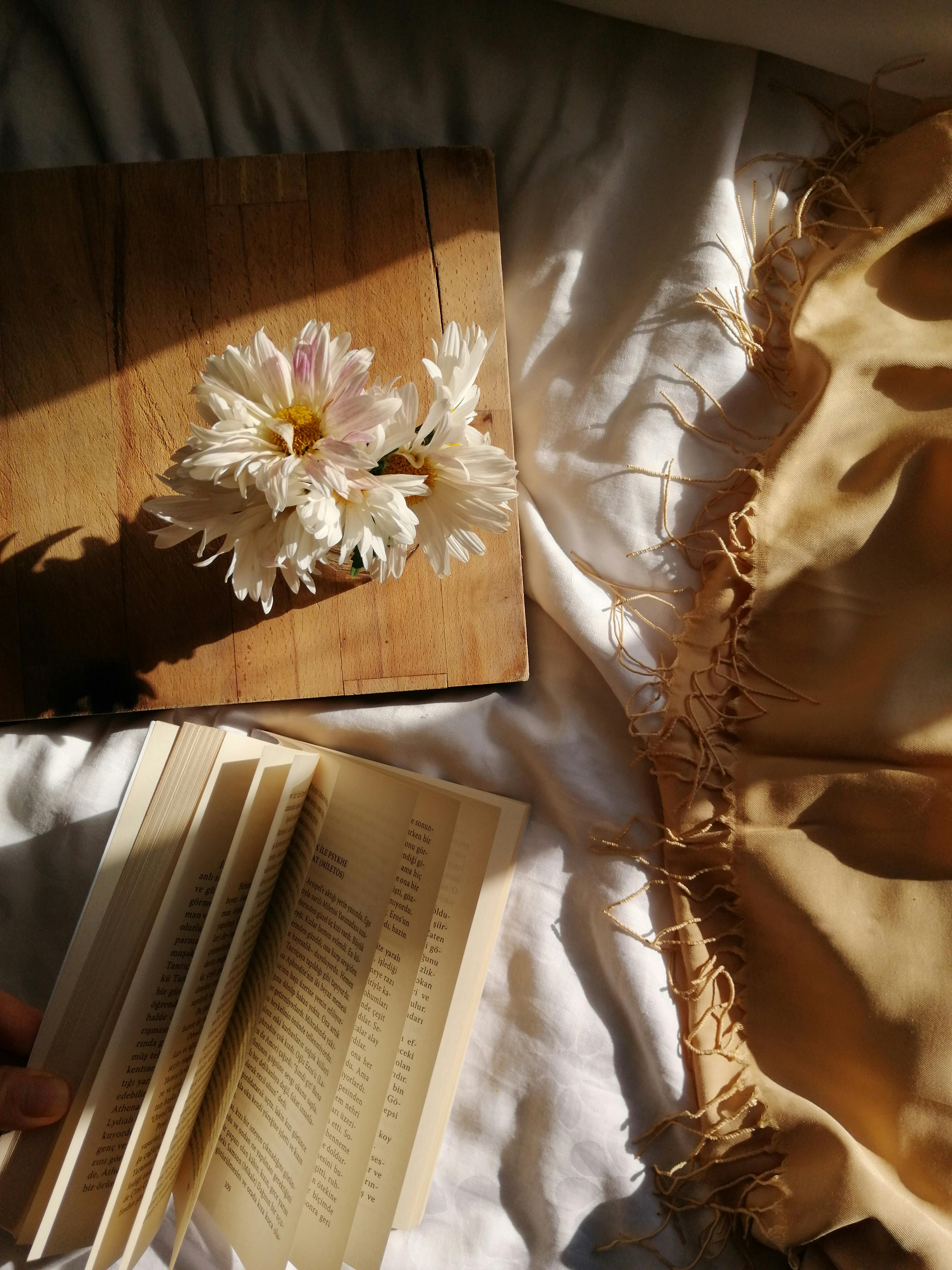 High Angle Shot of an Open Book · Free Stock Photo