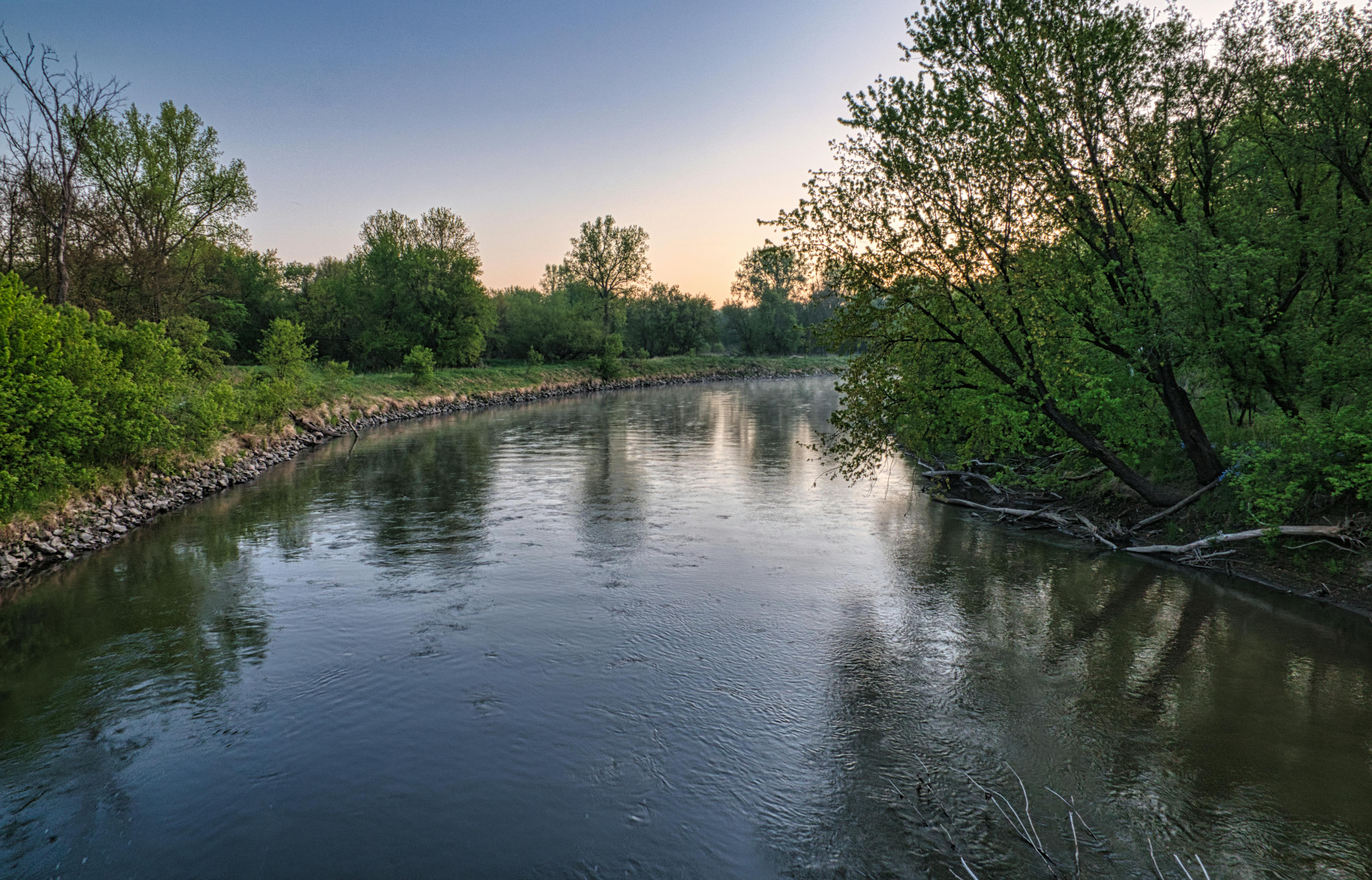 Green Trees Beside a River · Free Stock Photo