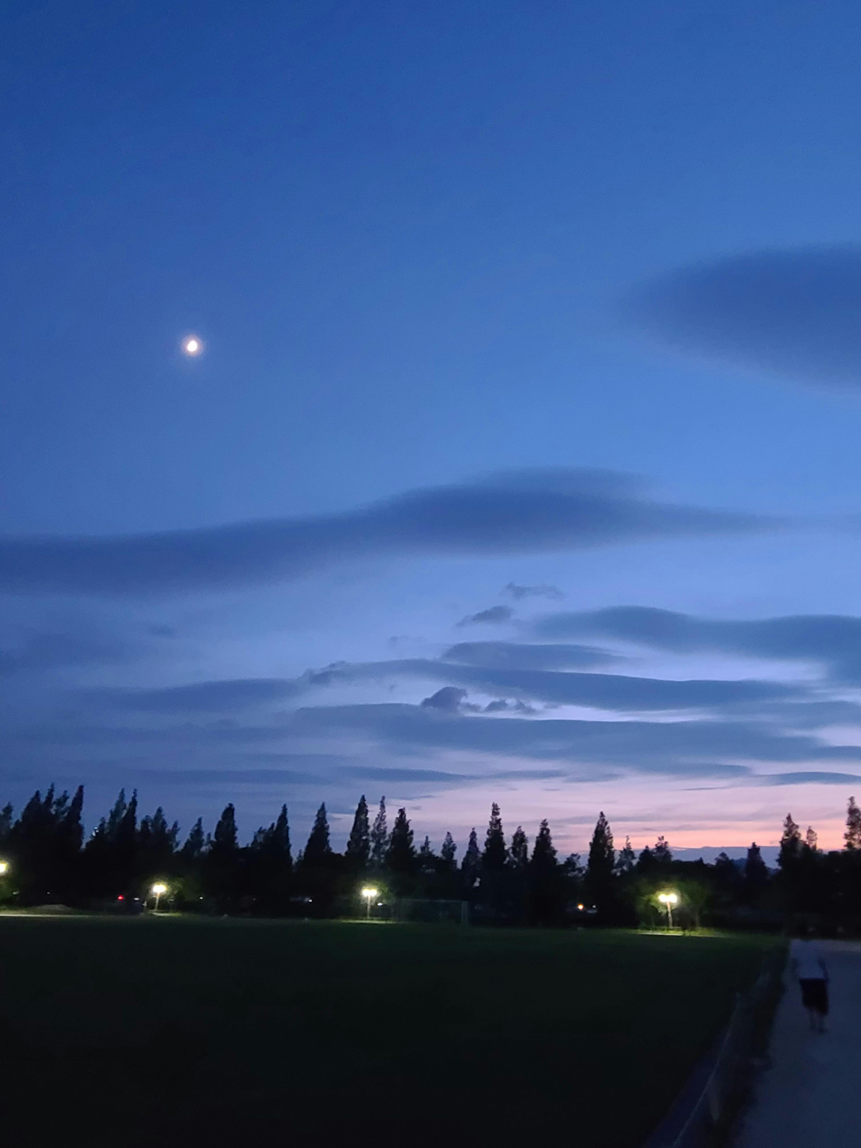 Silhouette of Trees During Night Time · Free Stock Photo