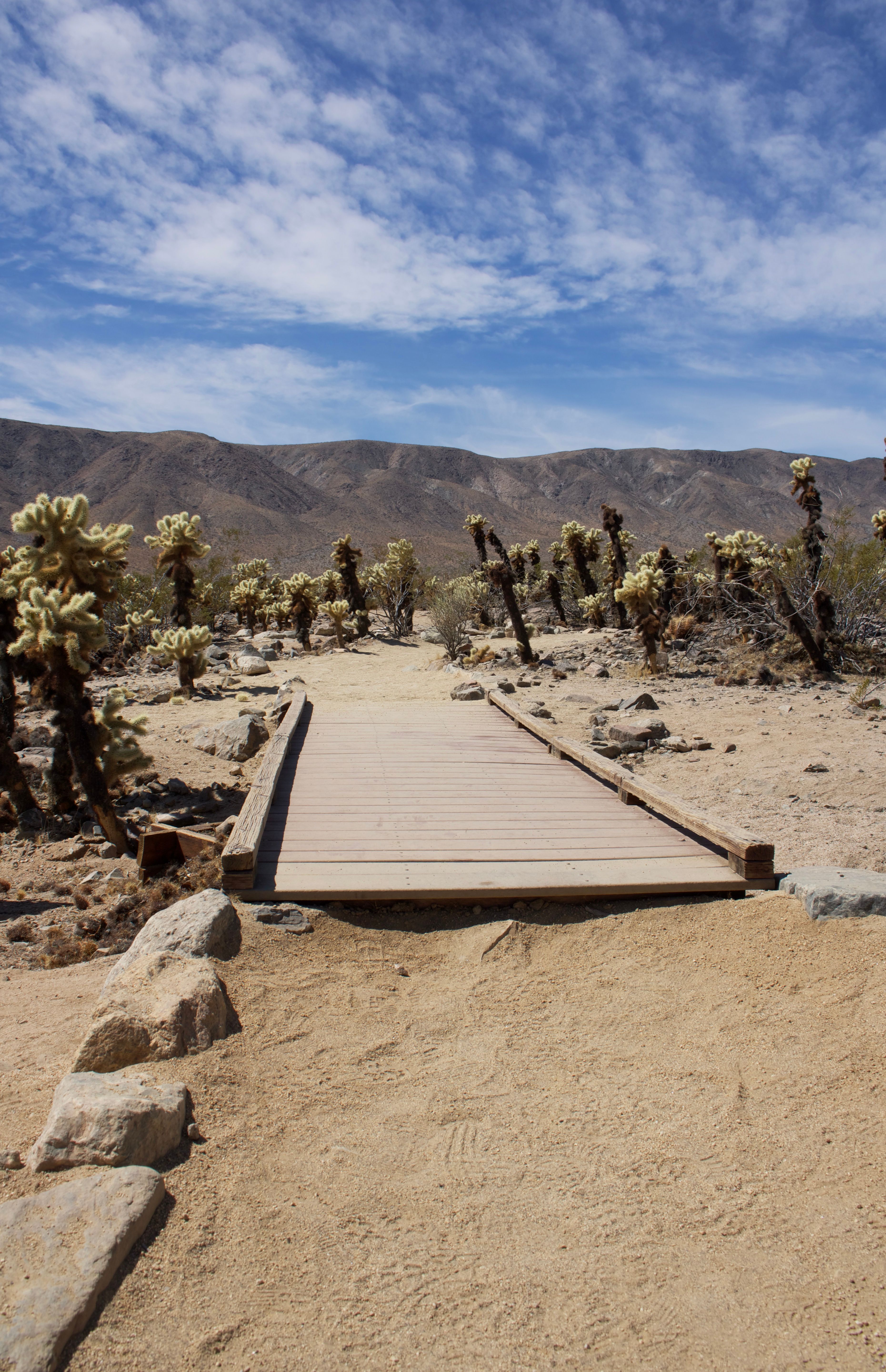 Wooden Boardwalk in Desert · Free Stock Photo