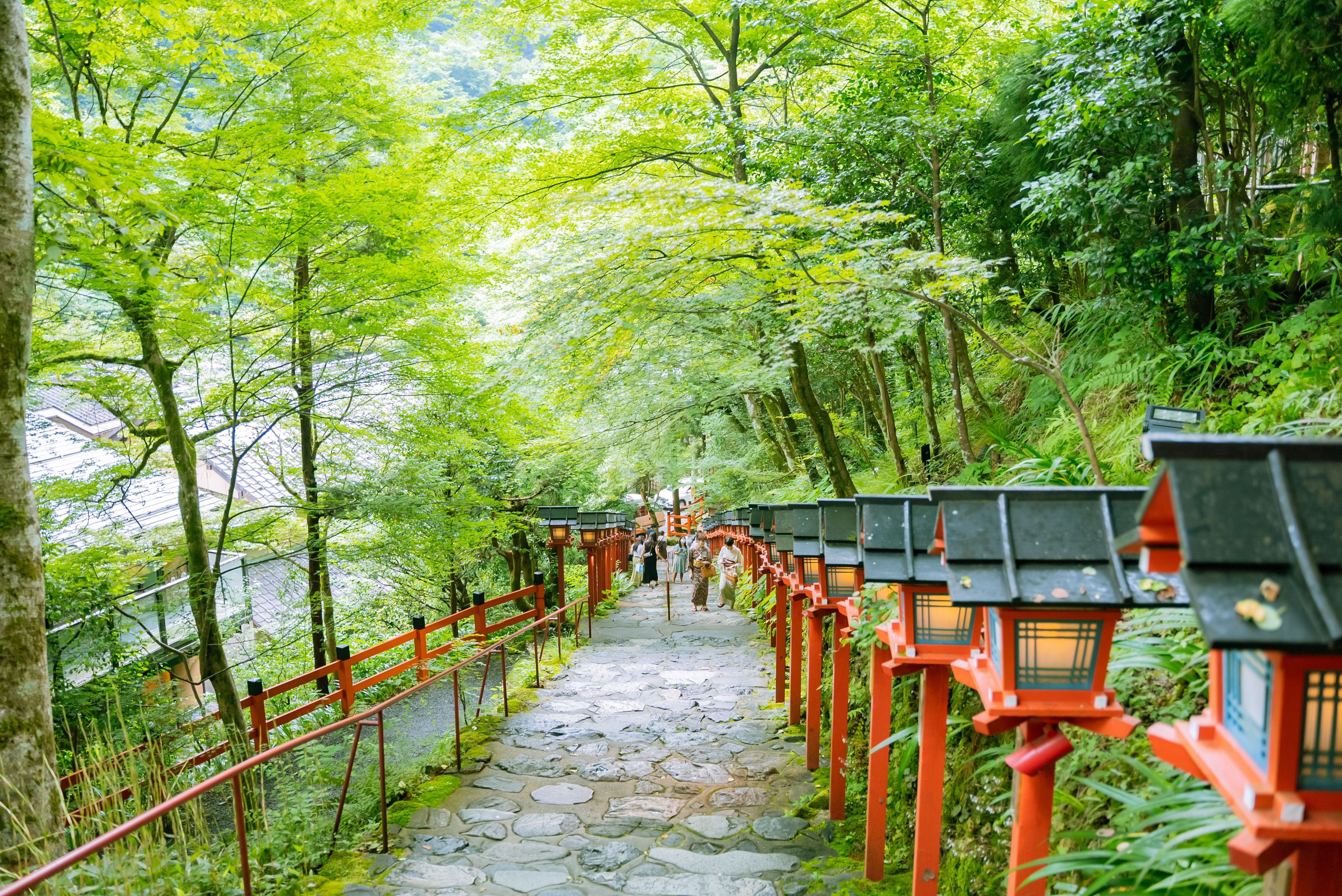 Green Trees Near the Walk Path · Free Stock Photo