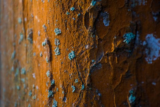 100+ Beautiful Rust Photos · Pexels · Free Stock Photos