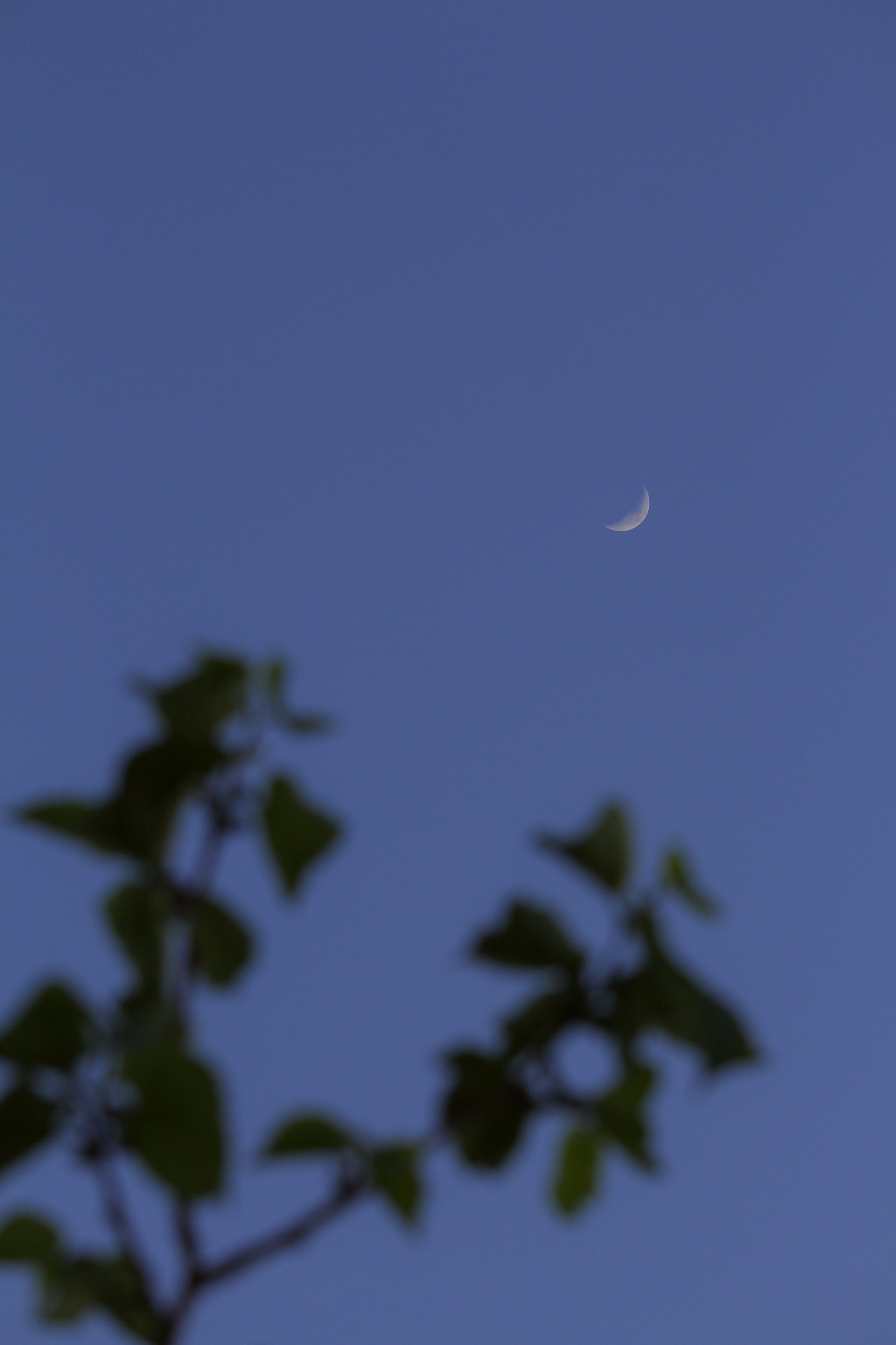 Crescent Moon Over a Purple Sky · Free Stock Photo
