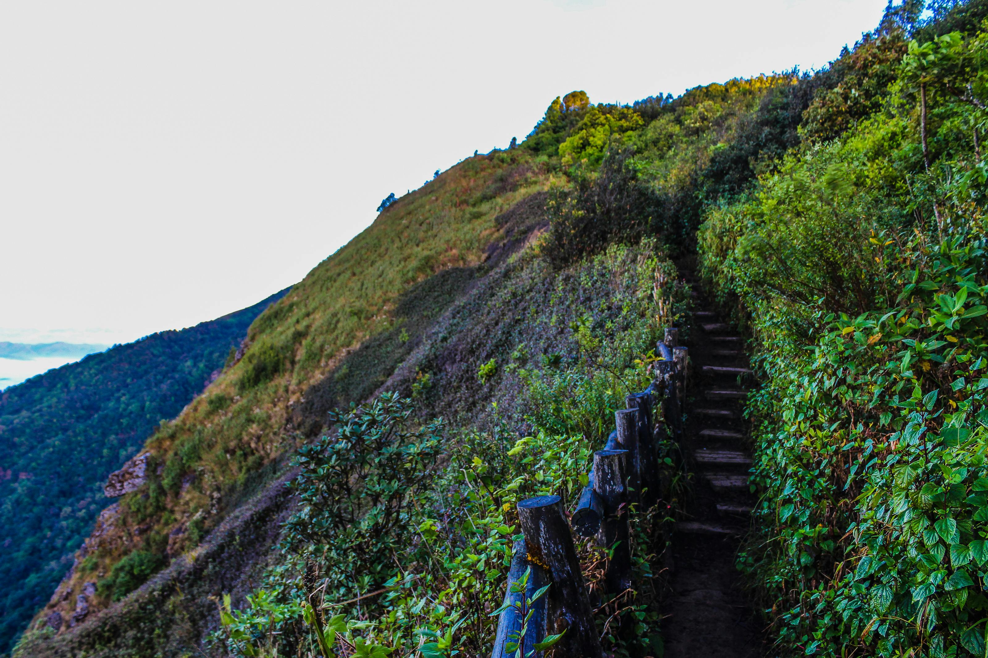 Pathway on Mountain With Blue Wooden Handrails at Daytime · Free Stock ...