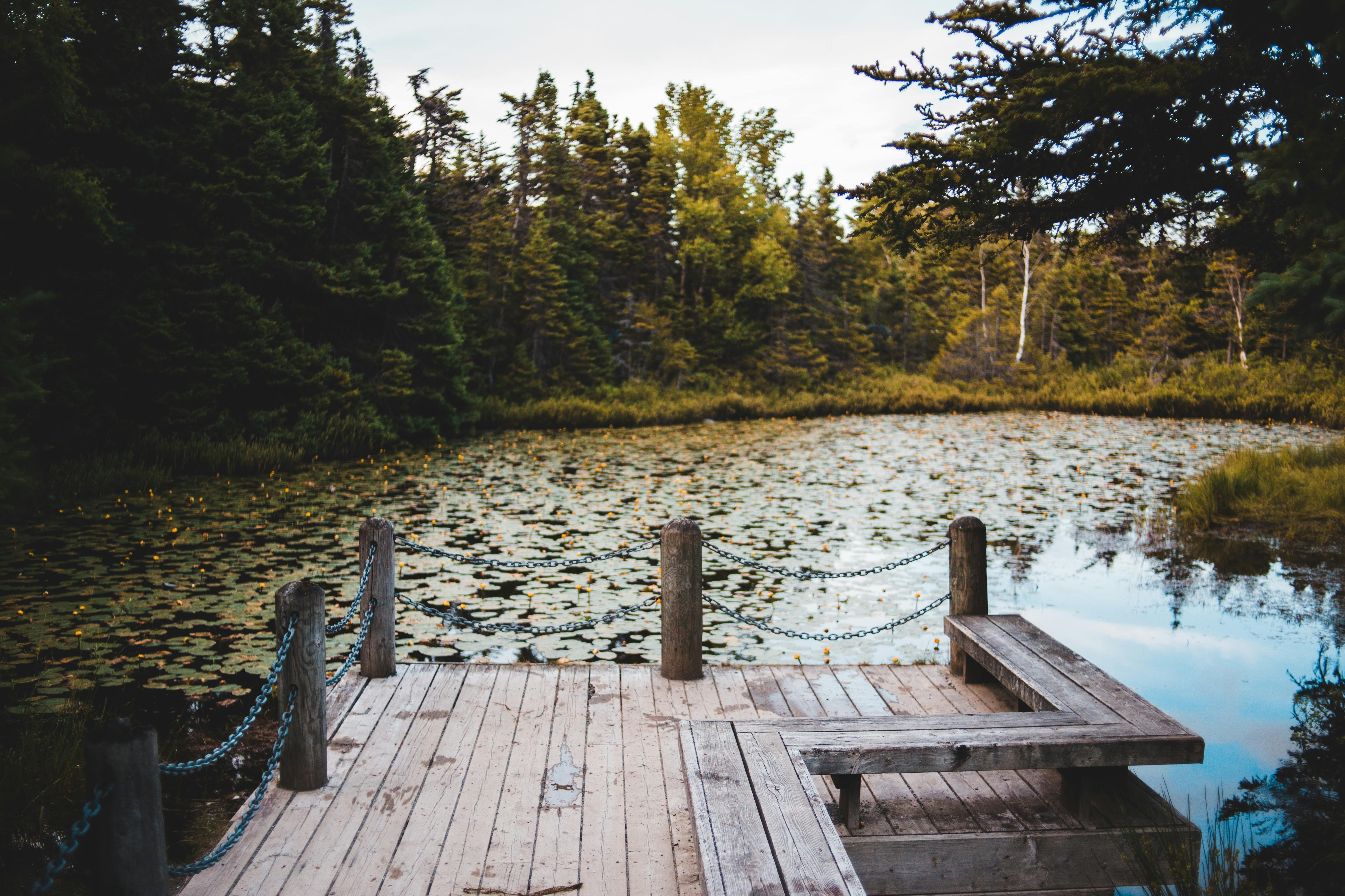 A Wooden Dock near a Lake · Free Stock Photo