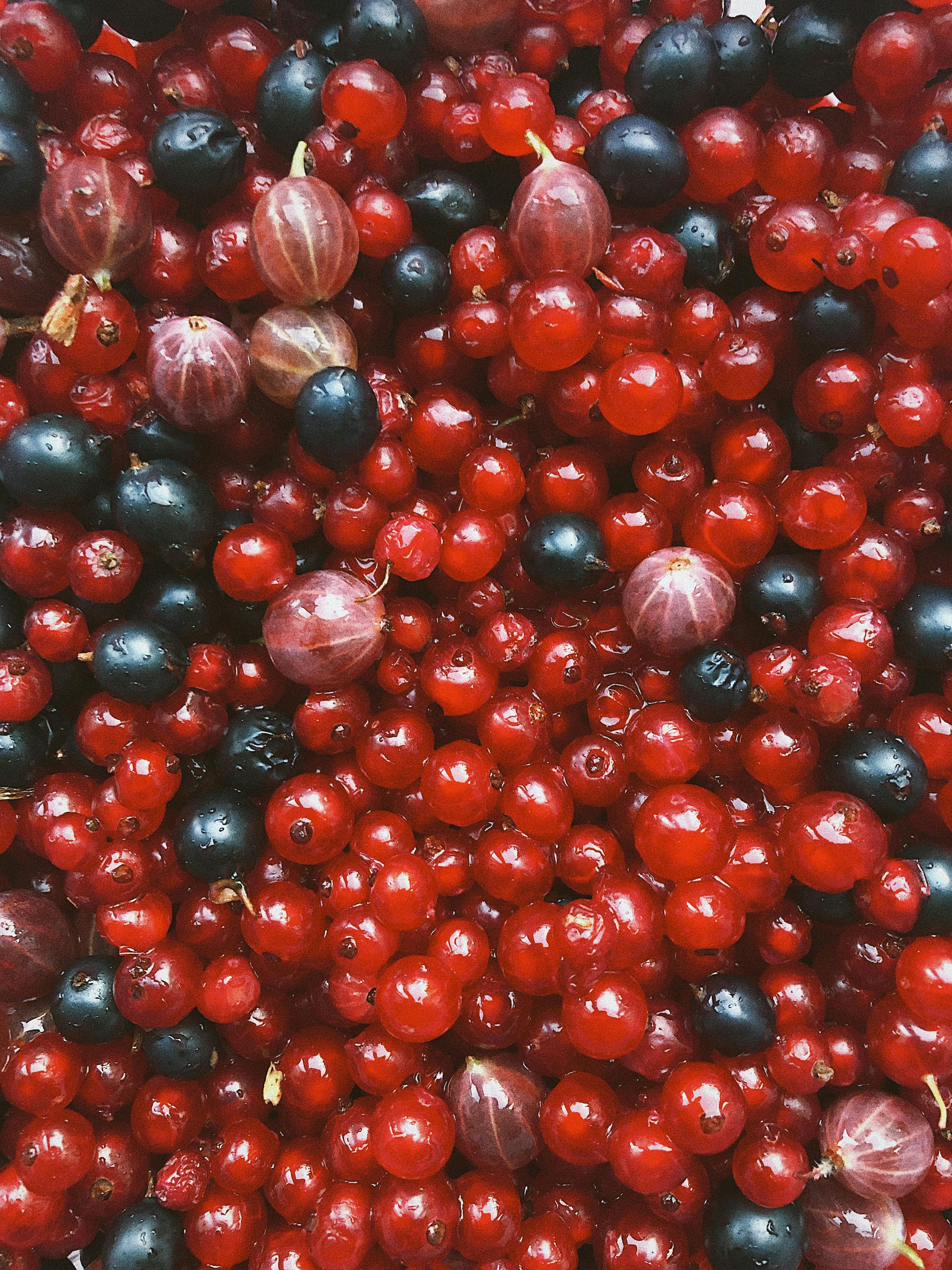 Close Up of Fruits · Free Stock Photo