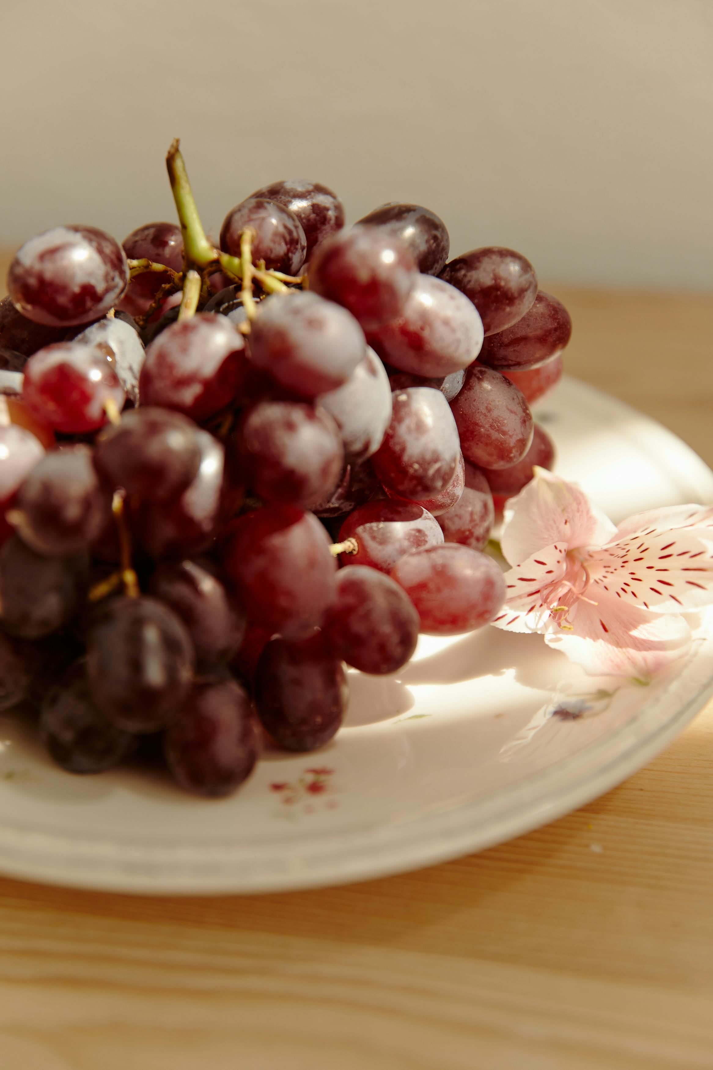 Bloom on Grapes · Free Stock Photo