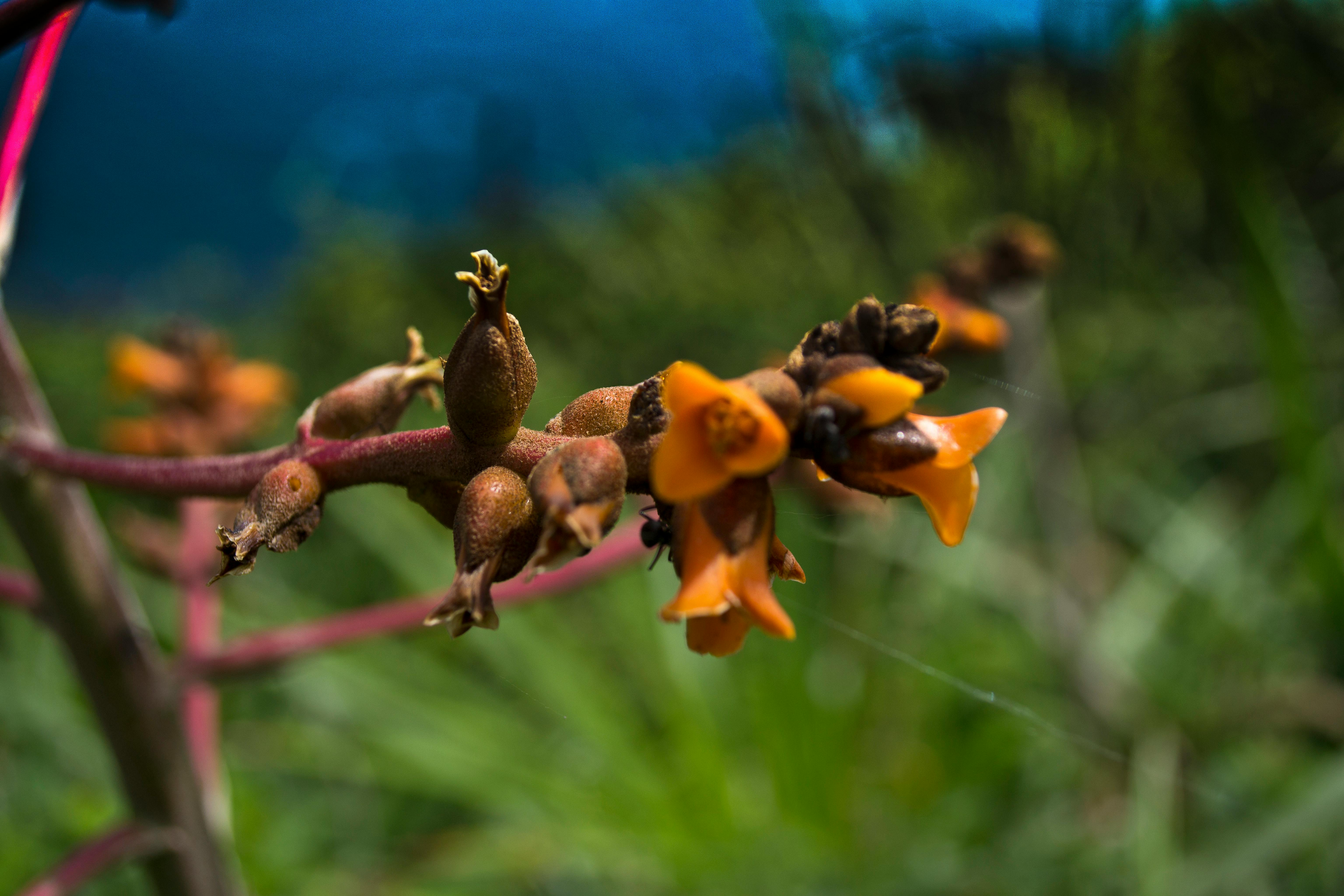 Daniel Sell - 写真