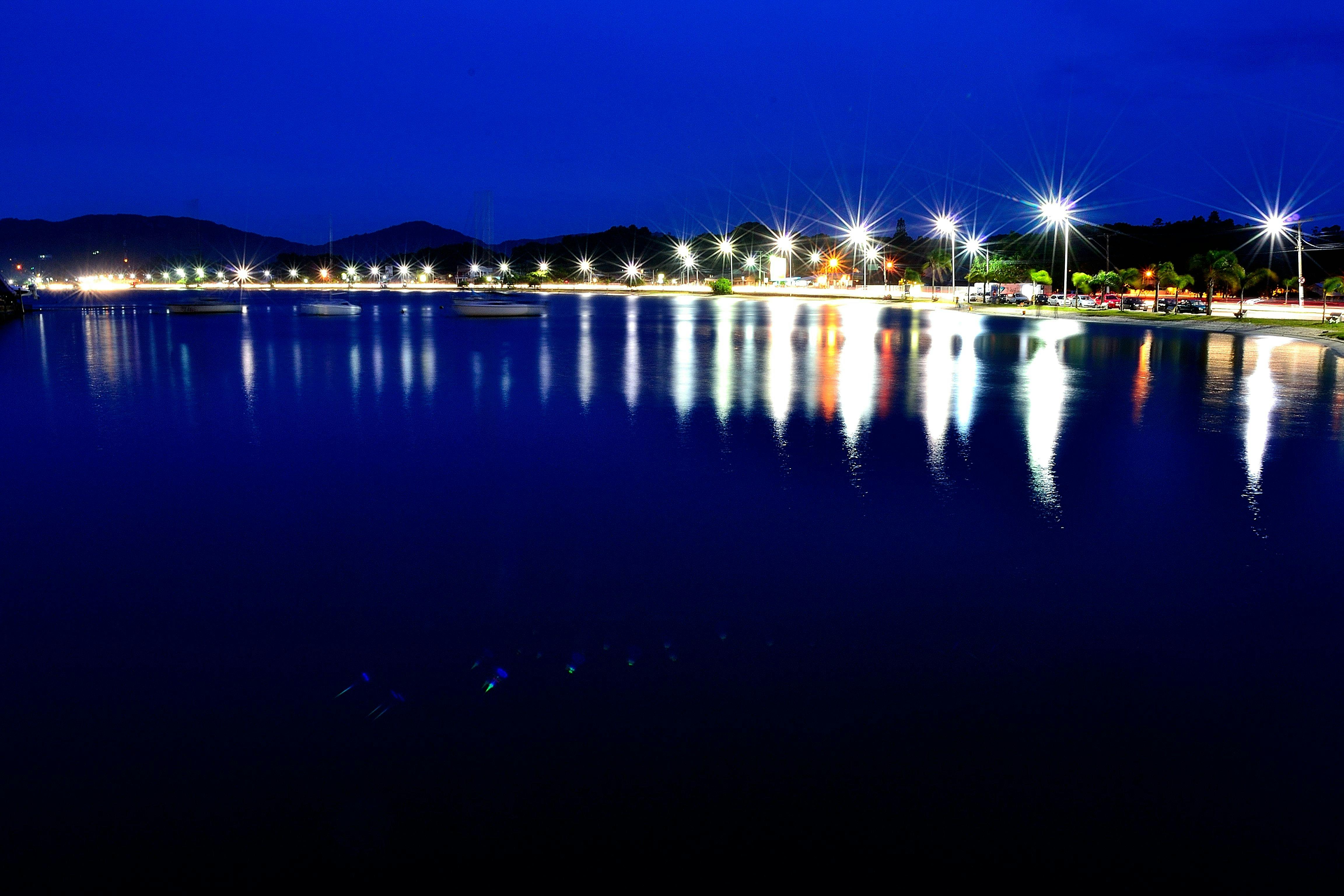 Daniel Sell - 写真