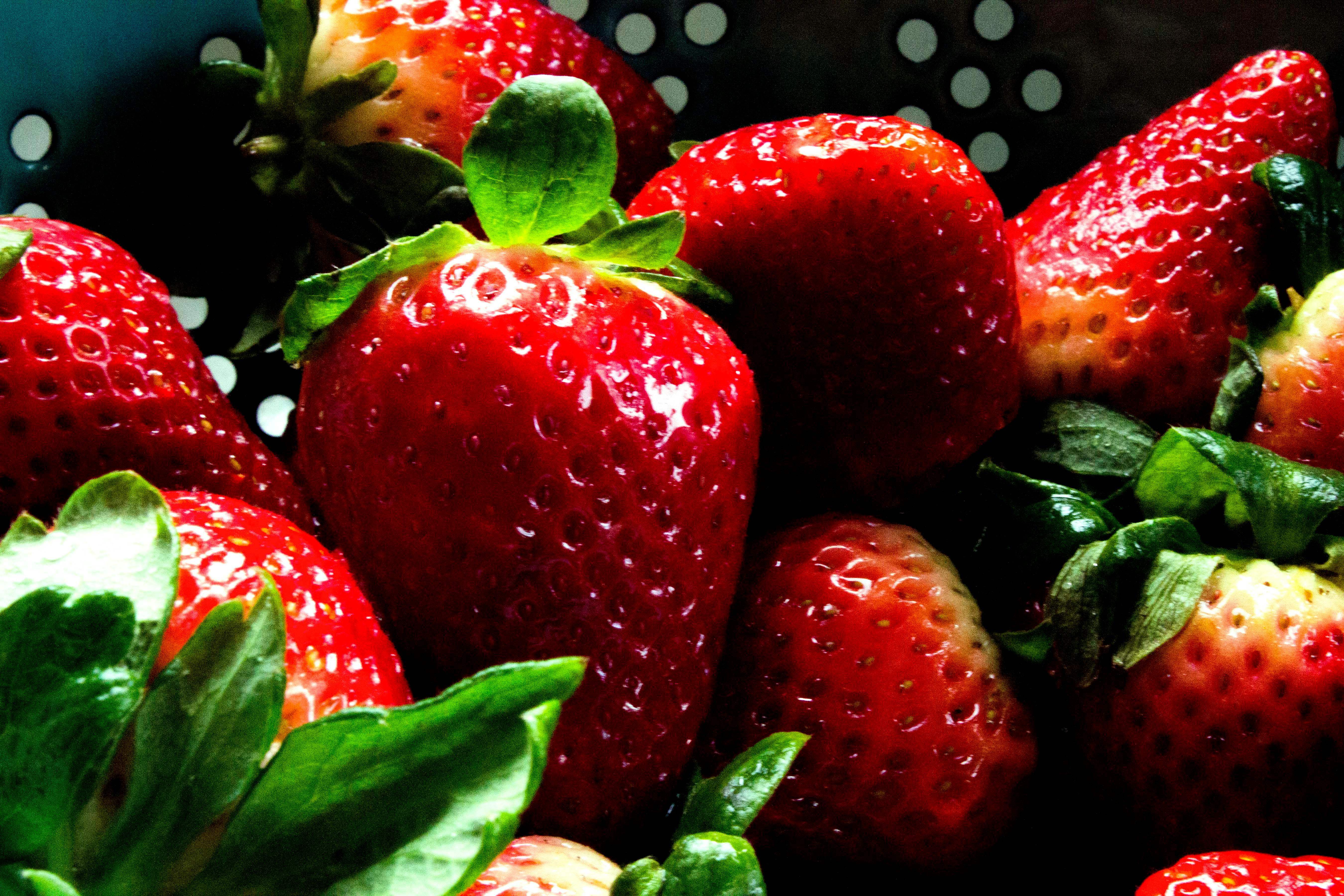 Photo gratuite de fraises