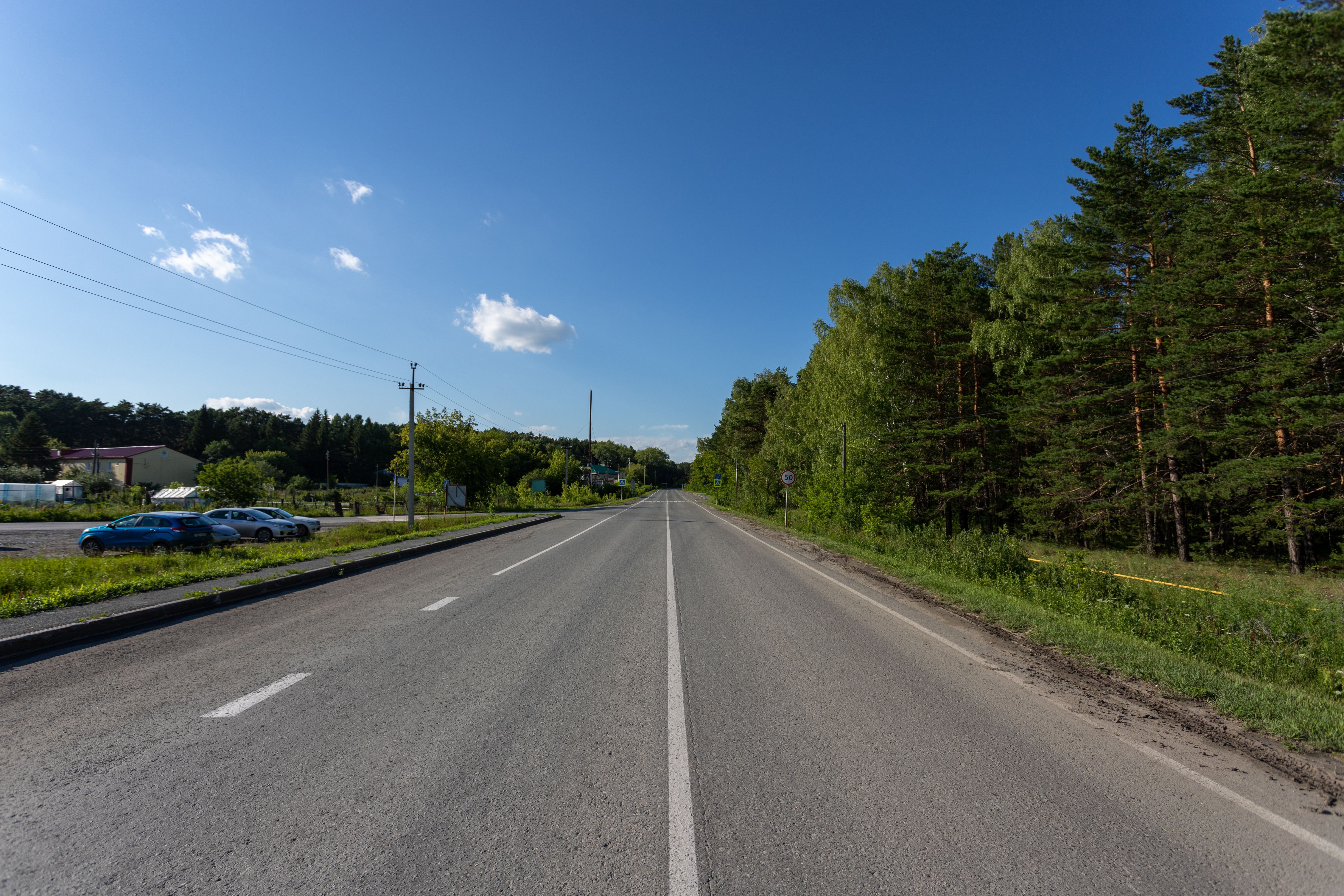 Cars on Road Near Trees · Free Stock Photo