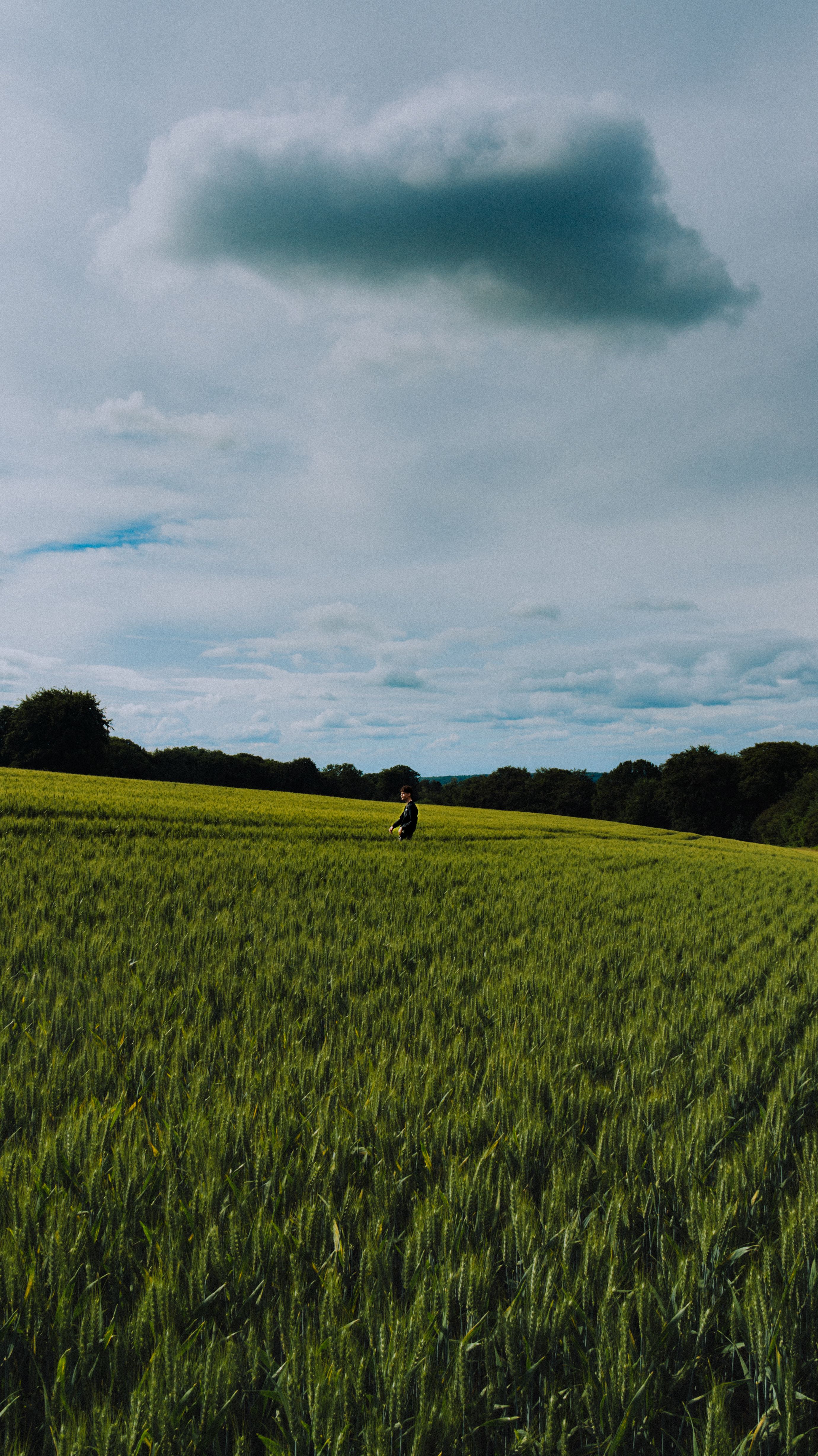 A Green Grass Field Under Cloudy Blue Sky · Free Stock Photo