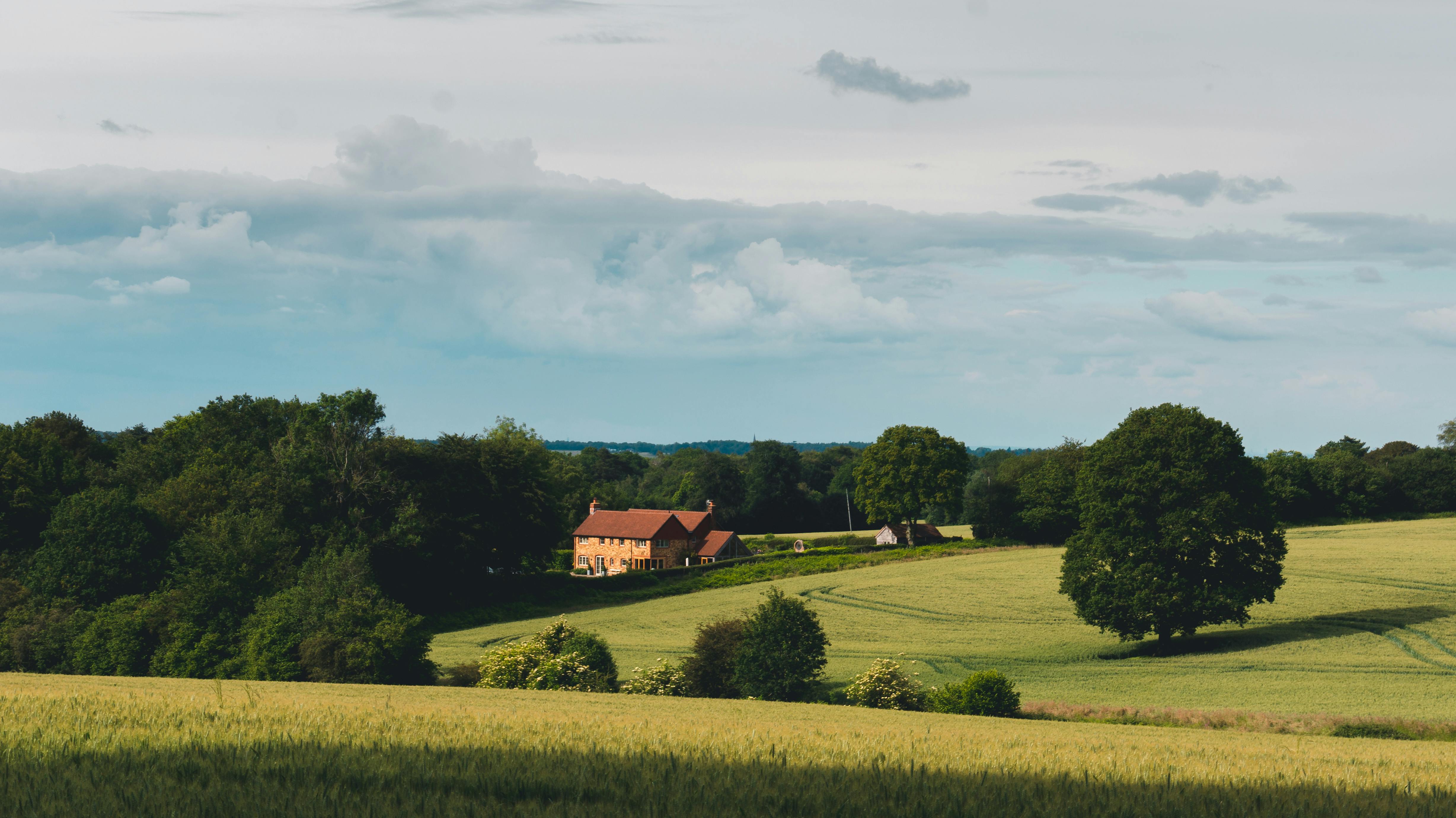 Grayscale Photograph of Farm · Free Stock Photo