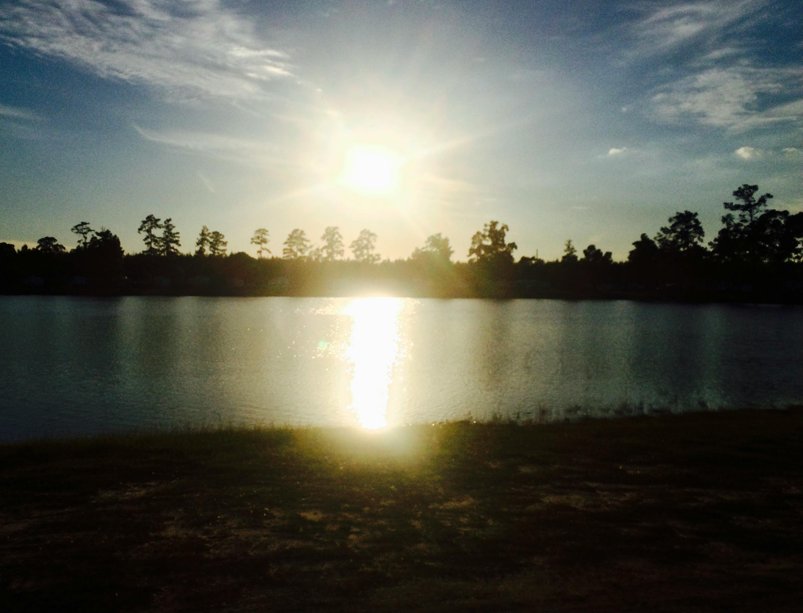 Adasha Knight - 사진