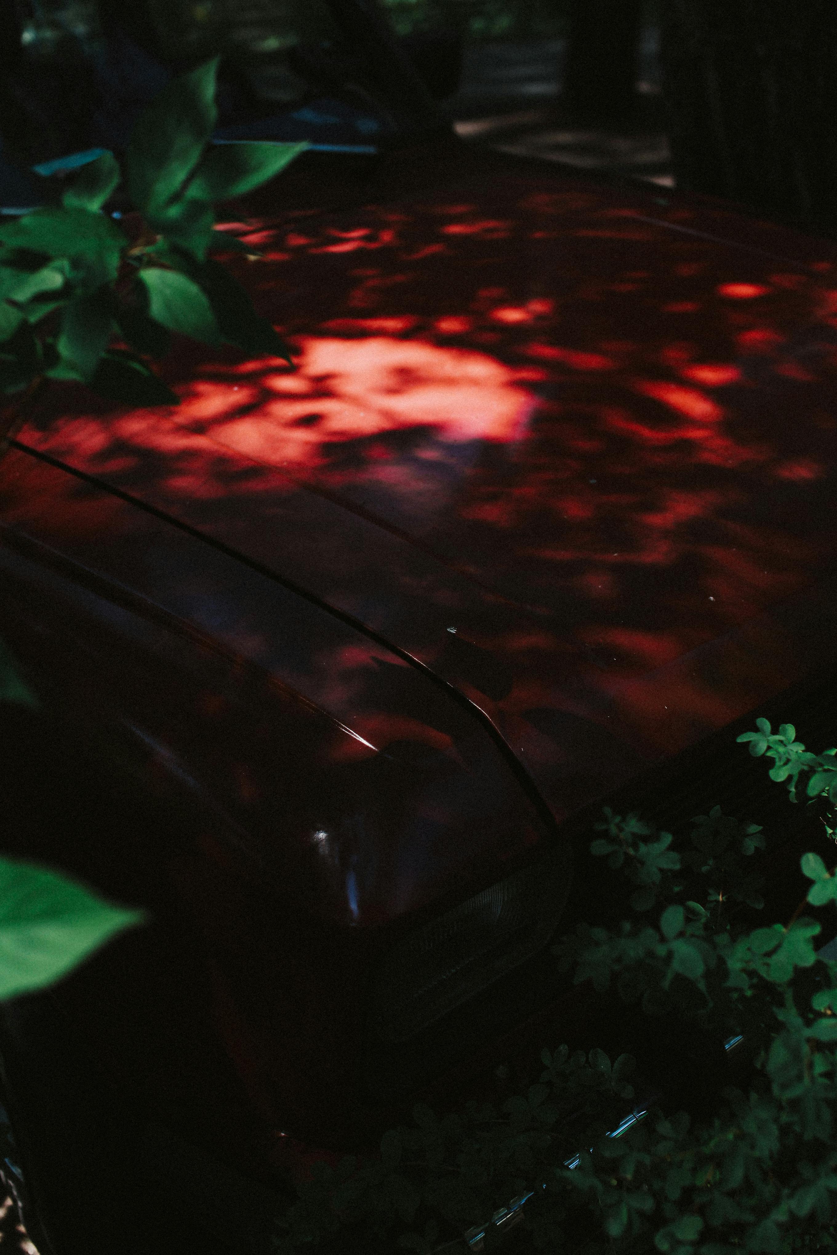 Red Light Filter Photos, Download The BEST Free Red Light Filter Stock ...