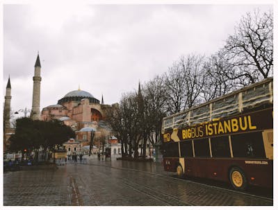 Turkey Photos, Download The BEST Free Turkey Stock Photos & HD Images