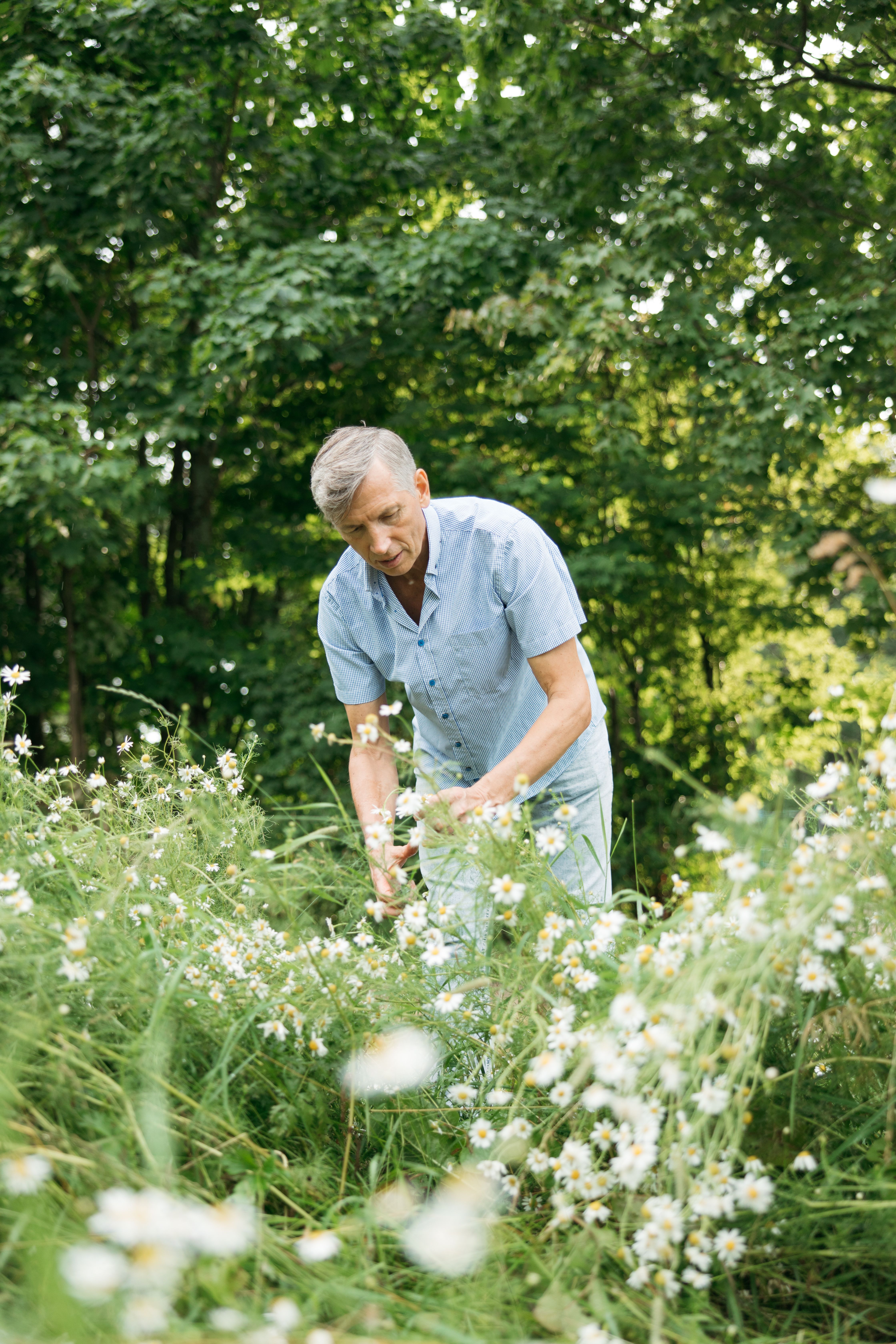 Man in Blue Polo Looking at Flowering Plants · Free Stock Photo