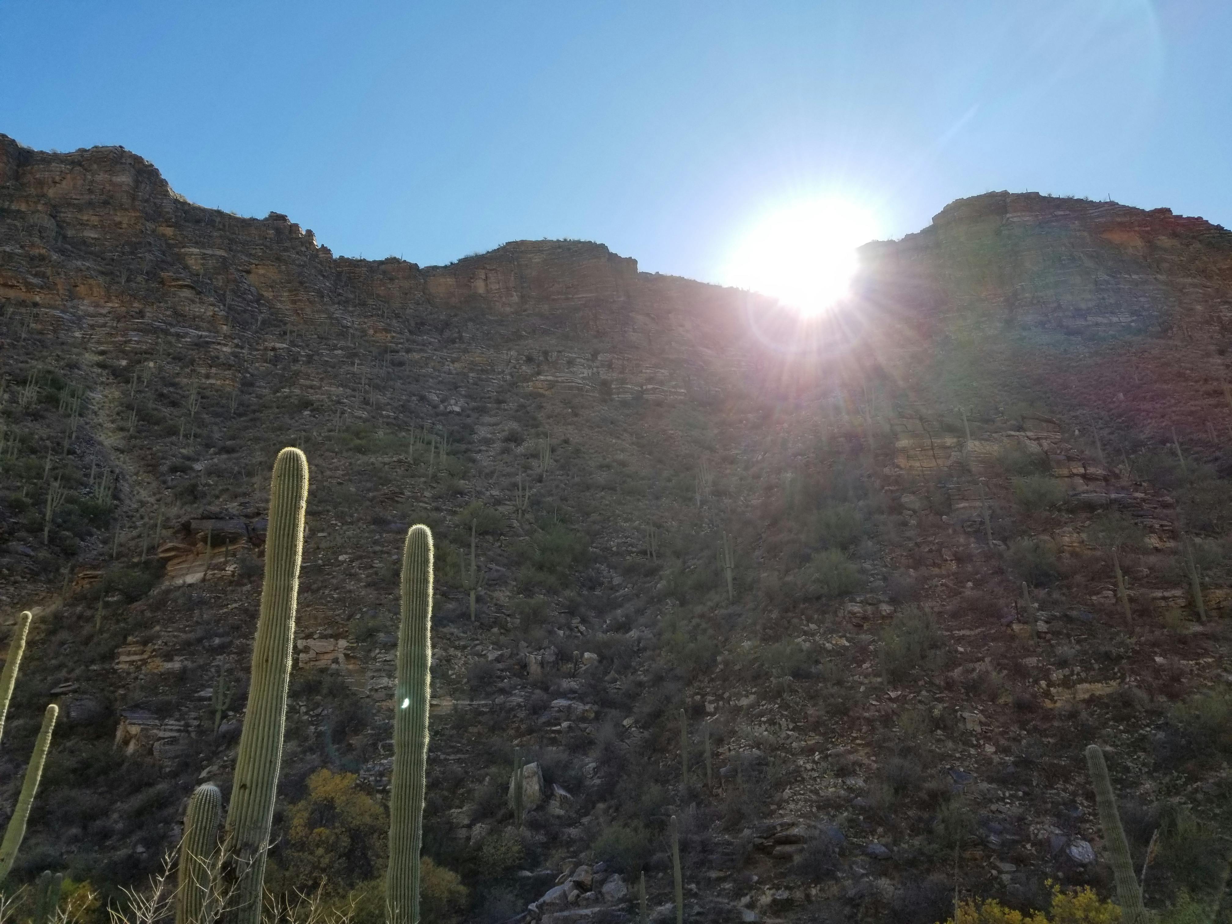 Kostenloses Foto zum Thema: arizona, berge, kaktus