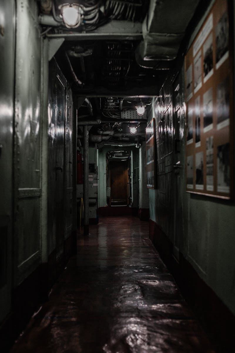 Uncanny Photos, Download The BEST Free Uncanny Stock Photos & HD Images