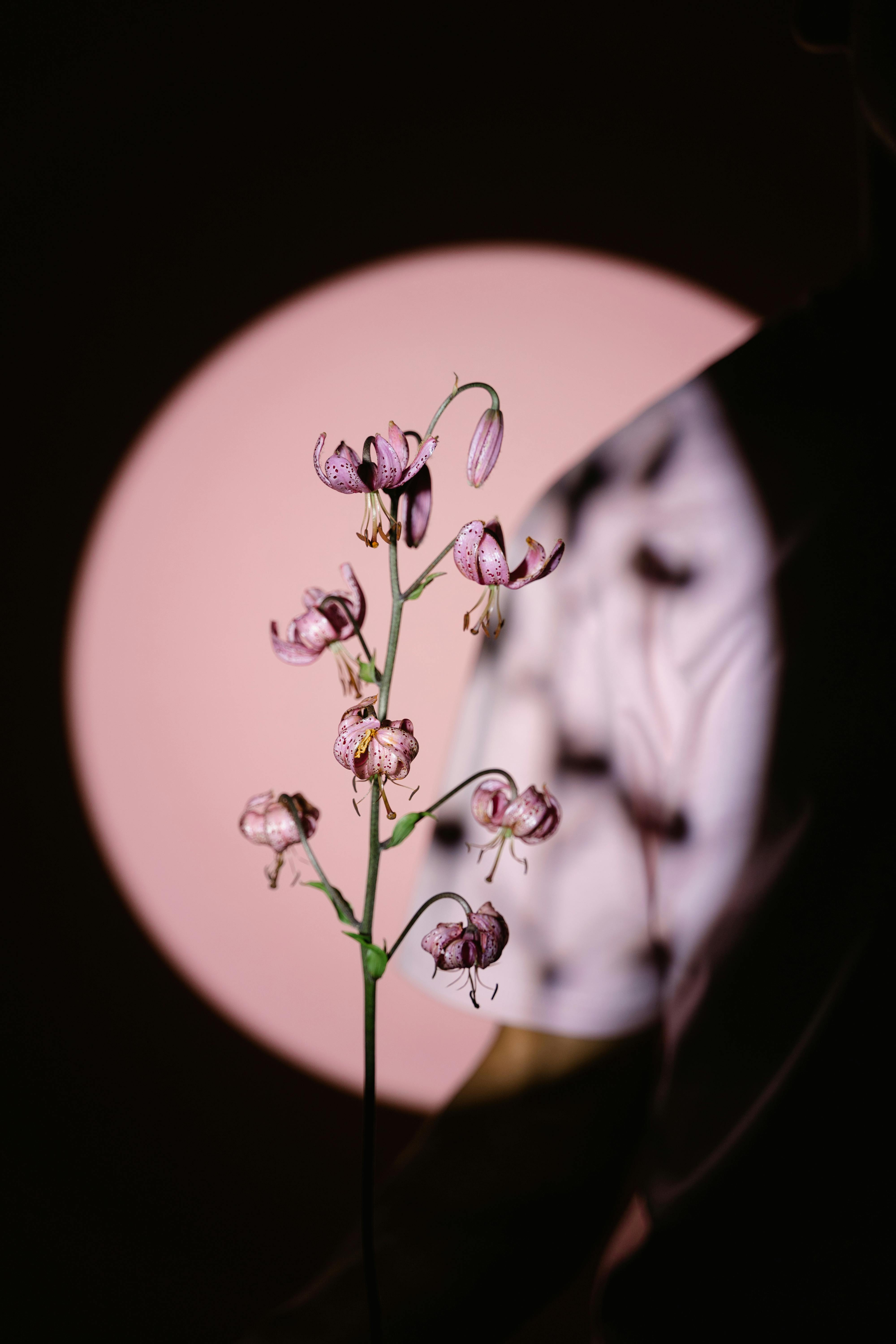 Focus Minimal Wallpaper Photos, Download The BEST Free Focus Minimal ...