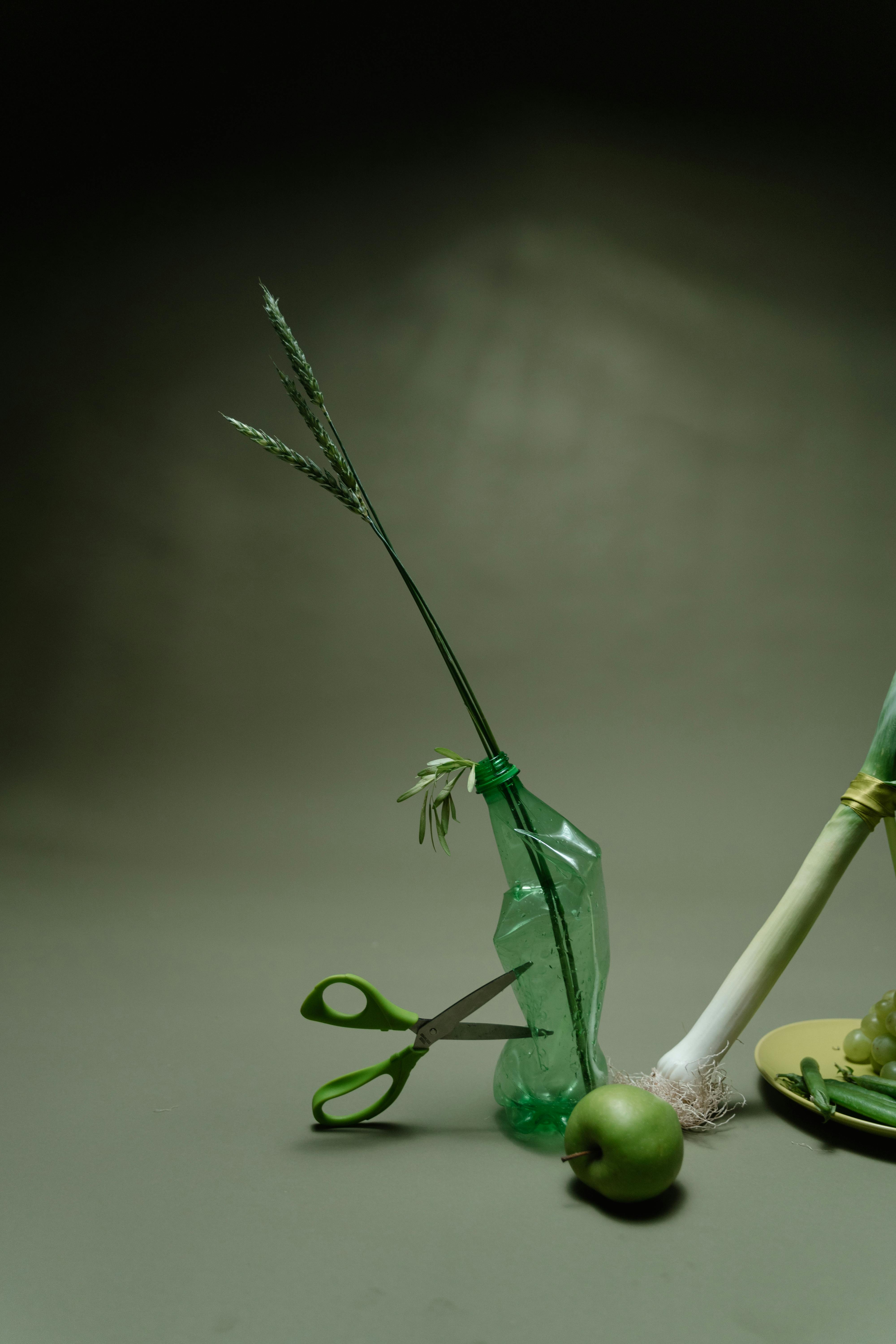 A Pair of Scissors Stuck on a Green Plastic Bottle with Green Leaves ...