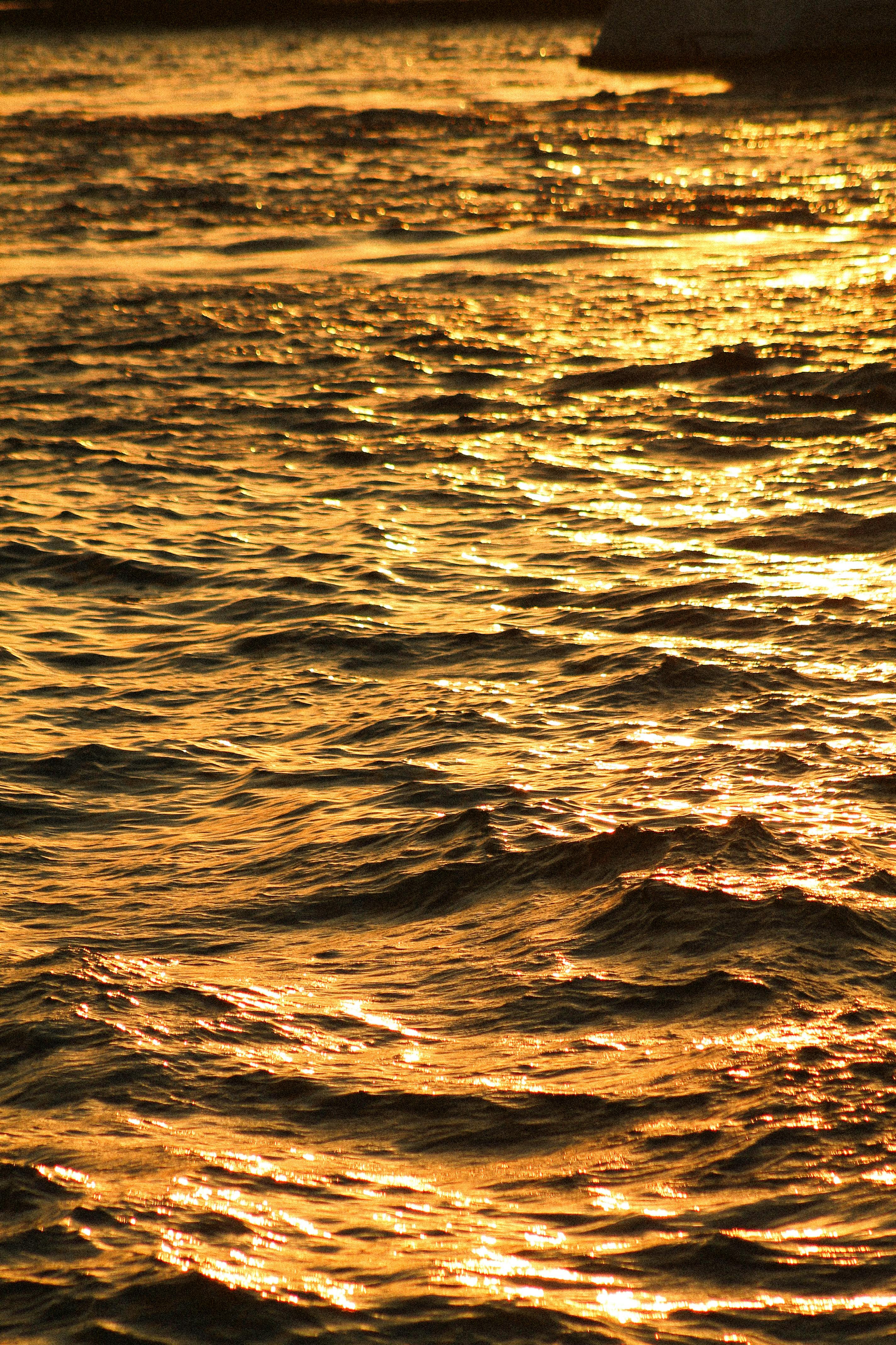 Sunlit Sea Waves at Sunset · Free Stock Photo