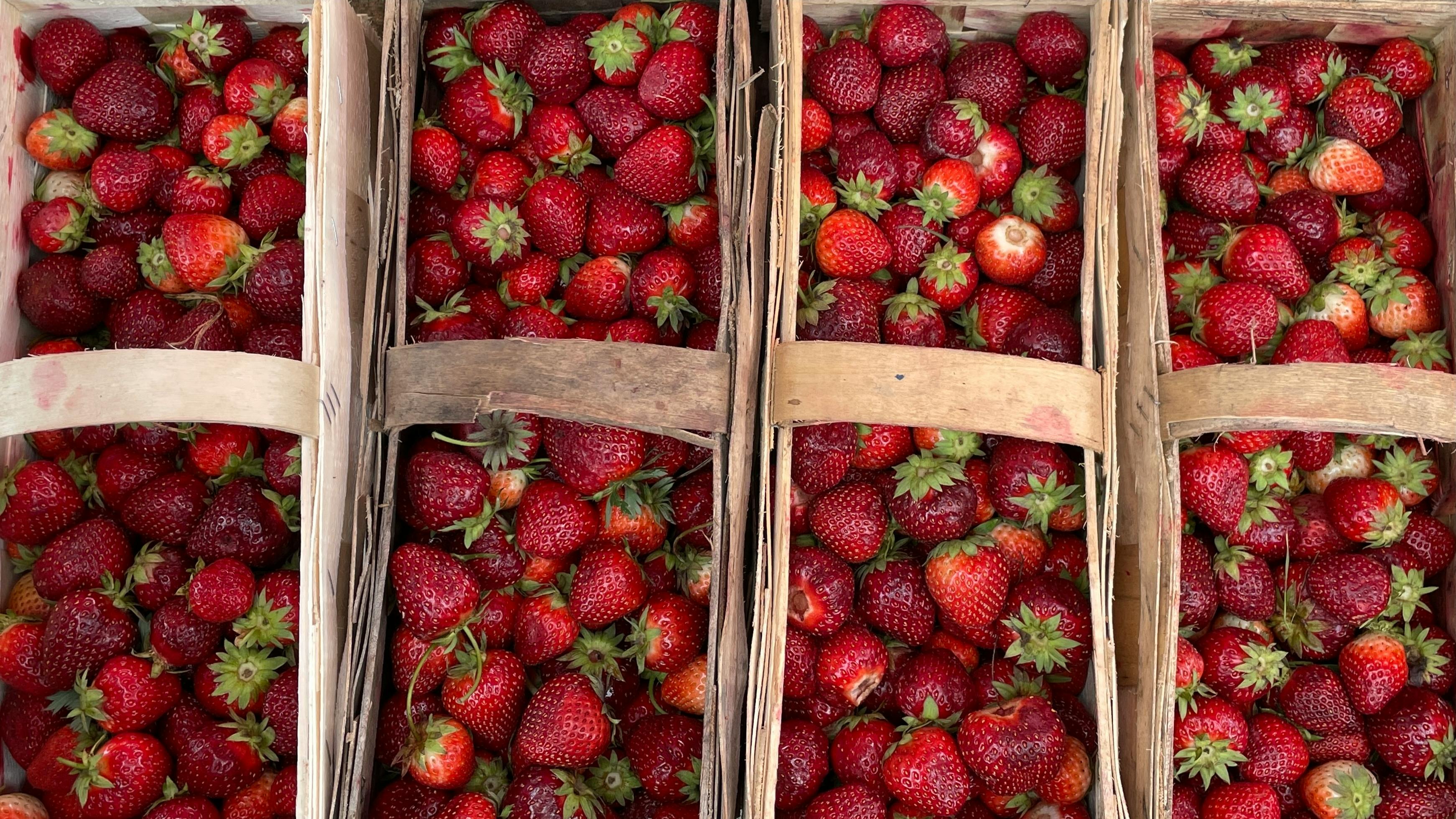 Strawberry Boxes Photos, Download The BEST Free Strawberry Boxes Stock ...