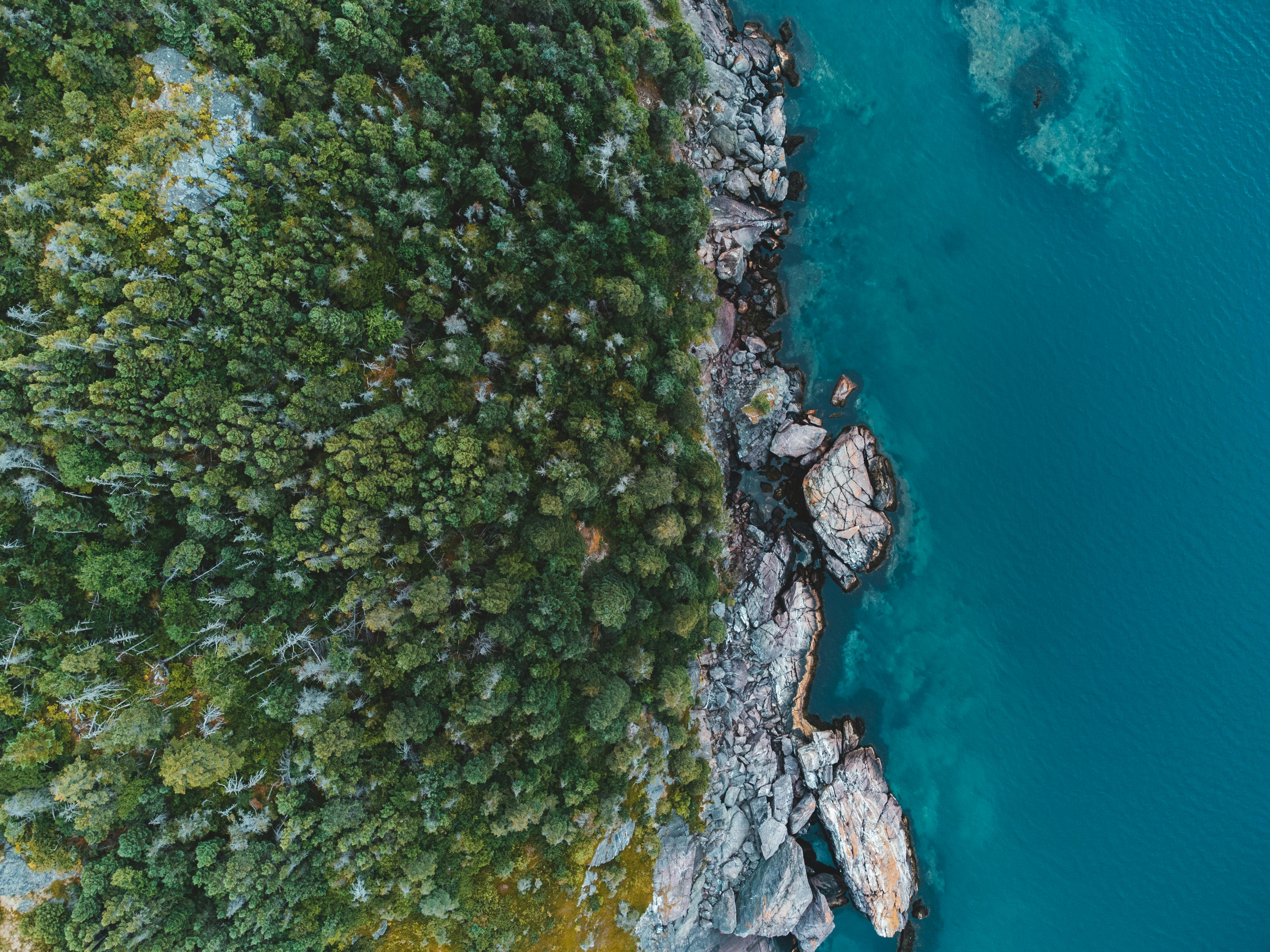 Top View of a Sea Water · Free Stock Photo