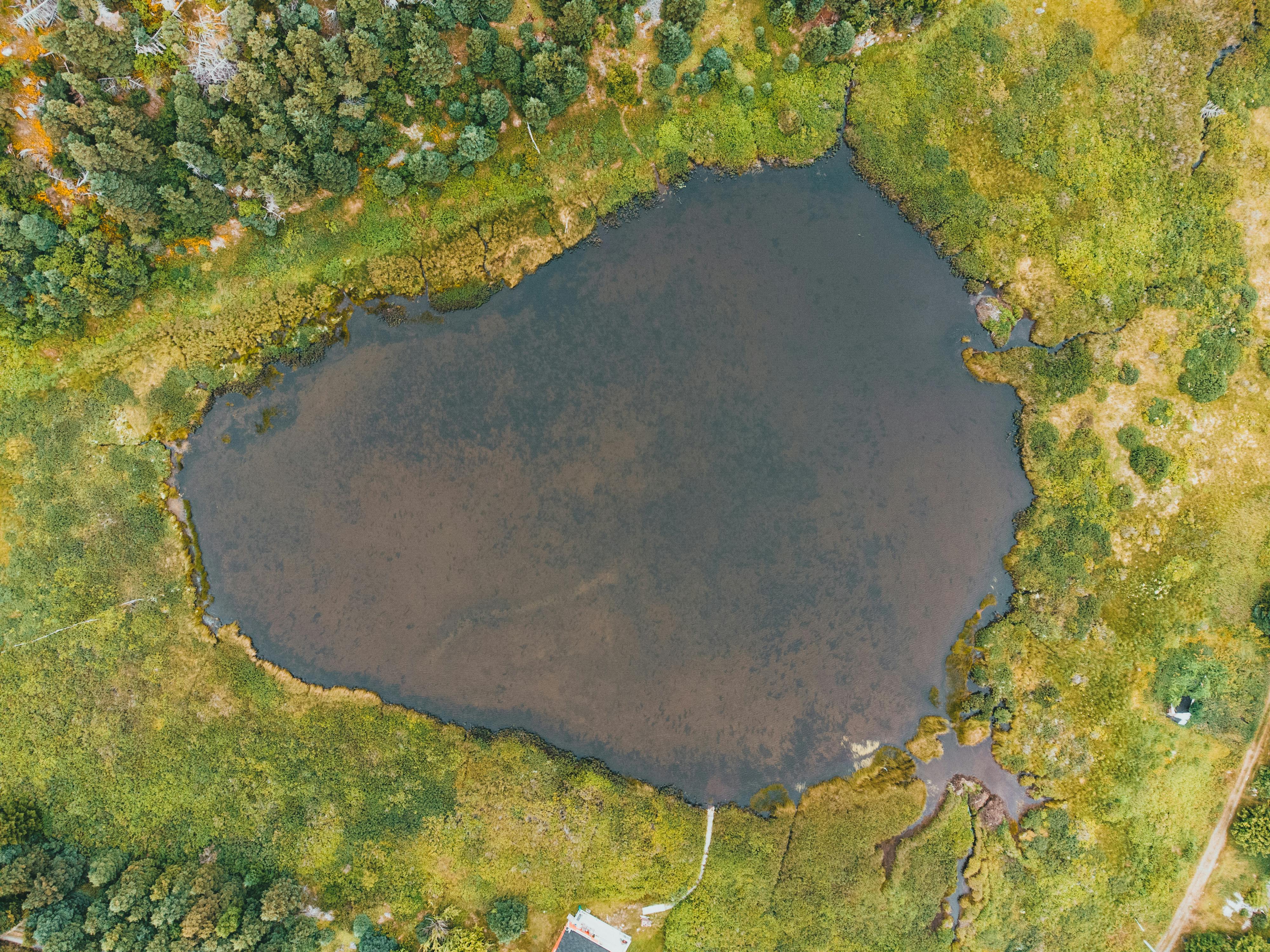 Drone Shot of a Small Lake · Free Stock Photo