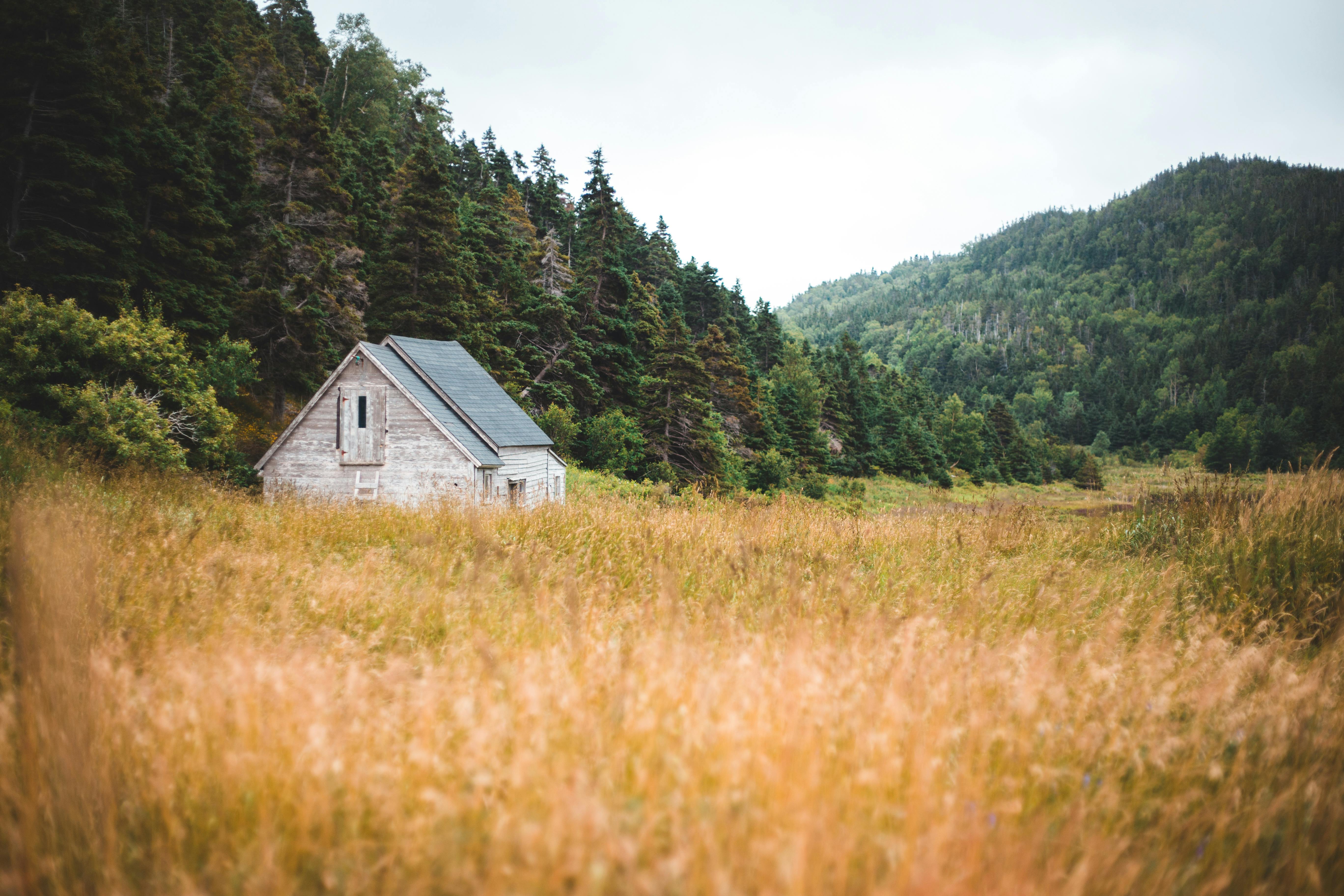 Wooden House on Green Grass Field · Free Stock Photo